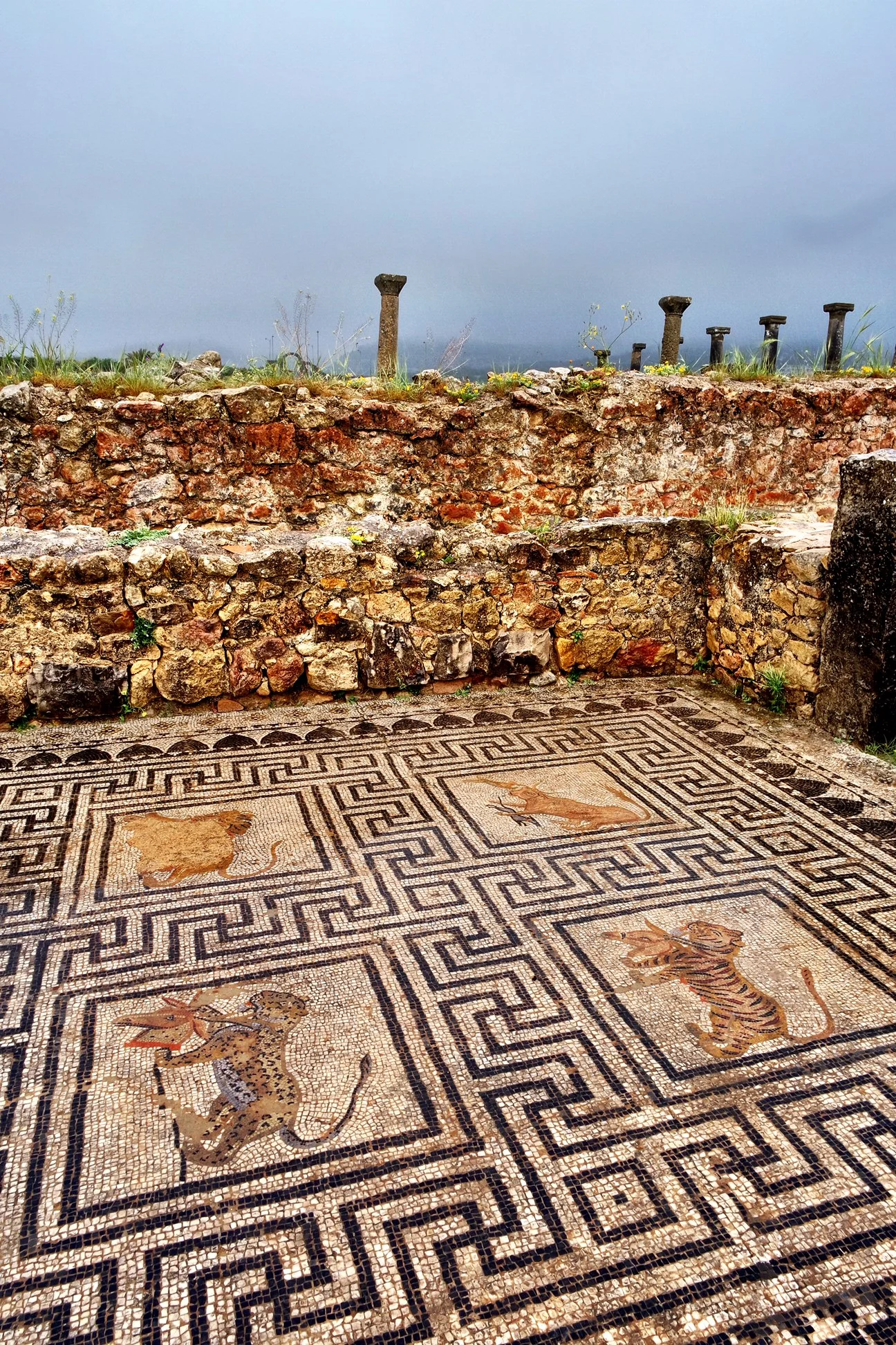 A Tour of the Roman Ruins and Mosaics of Volubilis
