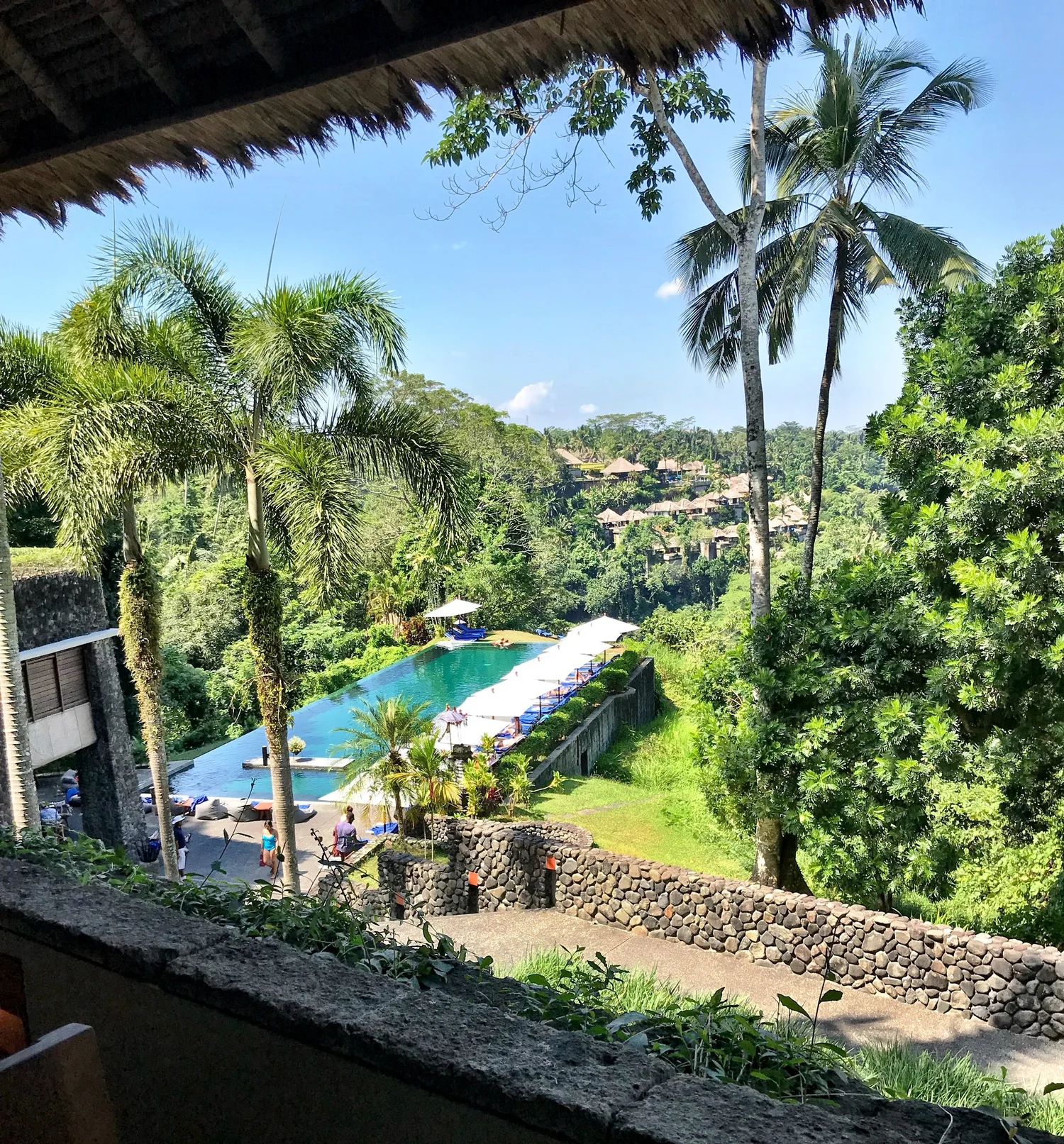 Alila Ubud: A Luxury Resort Nestled in a Jungle Valley