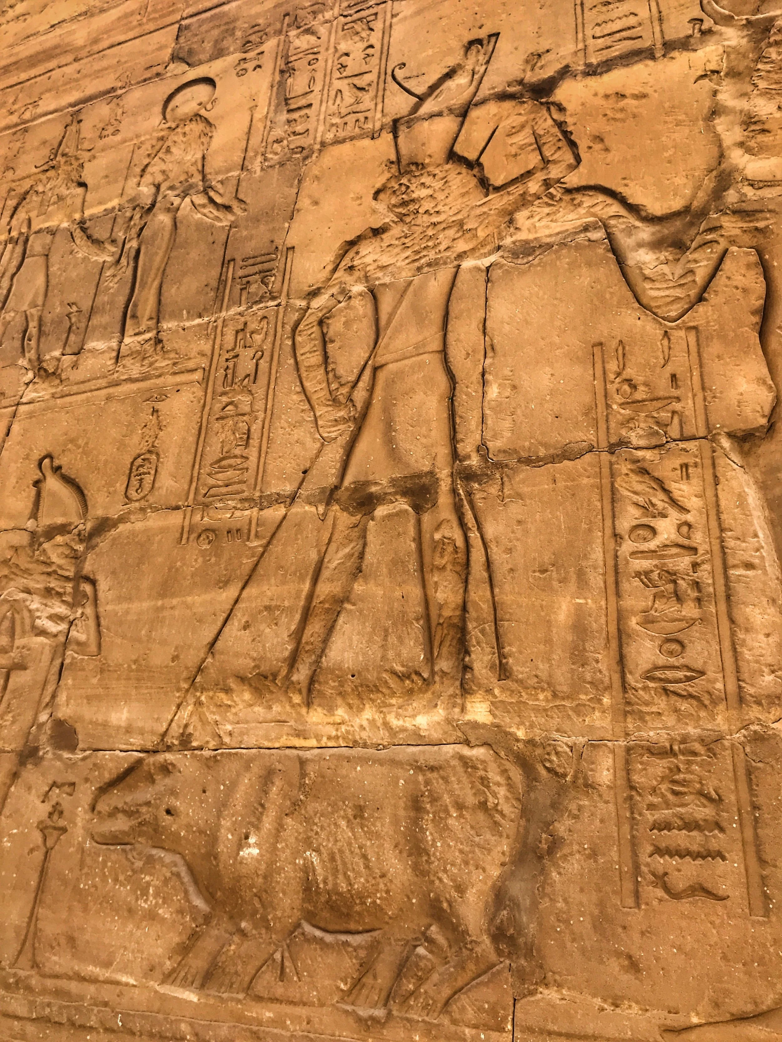 Enchanting Edfu Temple