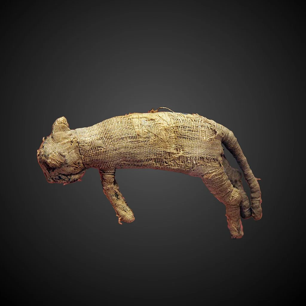 The Mummified Animals of Ancient Egypt