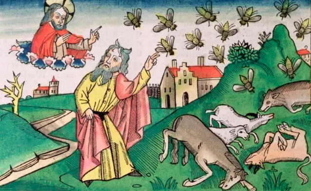The Story Of Moses The 10 Plagues Of Egypt And The Exodus the-story-of-moses-the-10-plagues-of-egypt-and-the-exodus