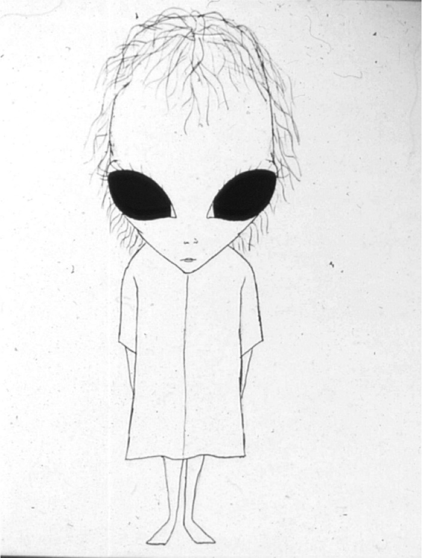 The Evidence Behind Alien Abductions and UFOs