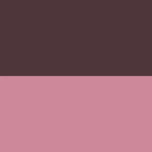 Marie Antionette, Fleas and the Origin of the Color Puce