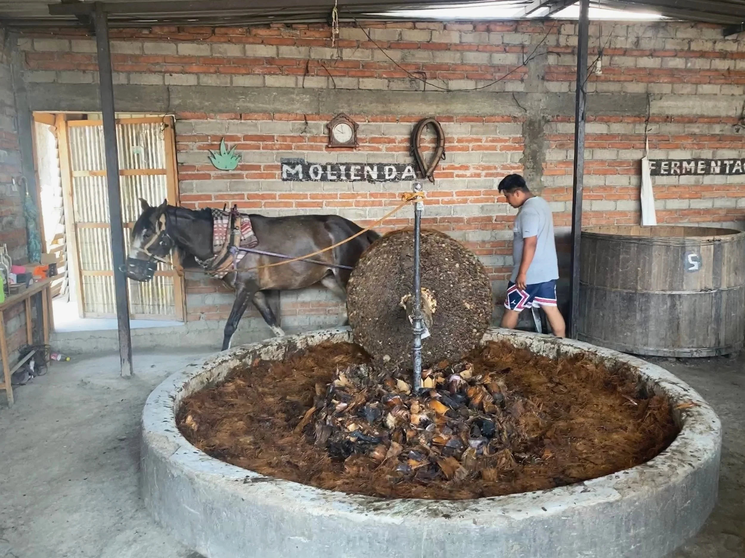 How Is Mezcal Made?