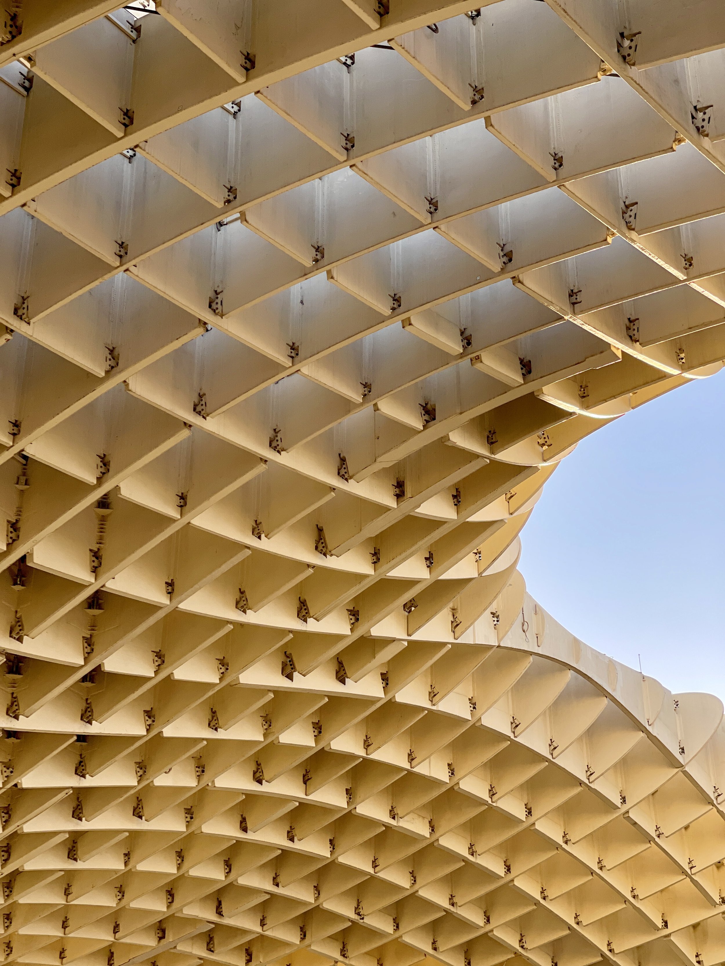 Las Setas de Sevilla FAQ: Seville’s Wooden Wonderland