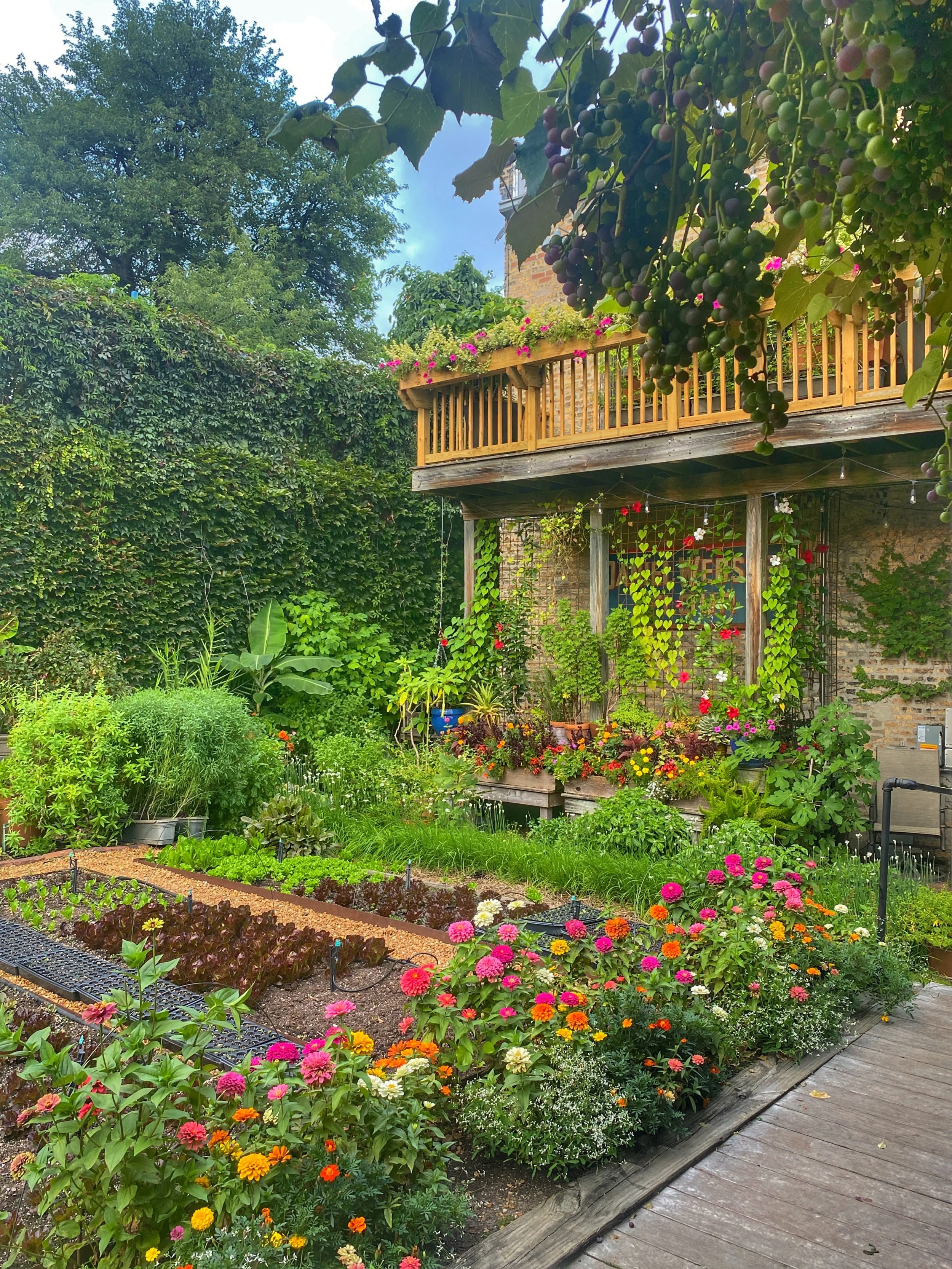 Rick Bayless Garden Tour: A Flavorful Experience