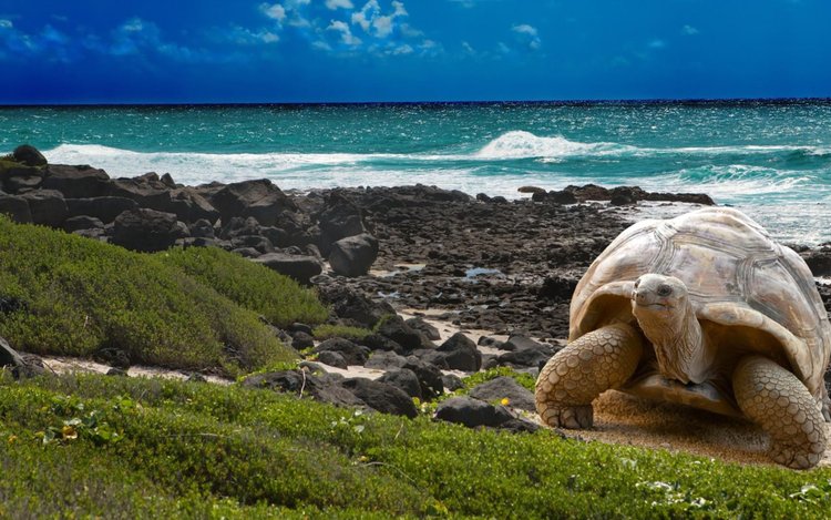 6 of the Most Unforgettable Galápagos Attractions