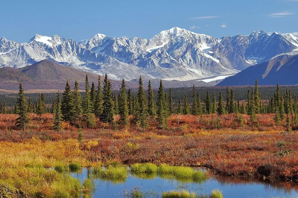 Alaska’s Natural Wonders: An Adventurous Traveler’s Guide to the Last ...