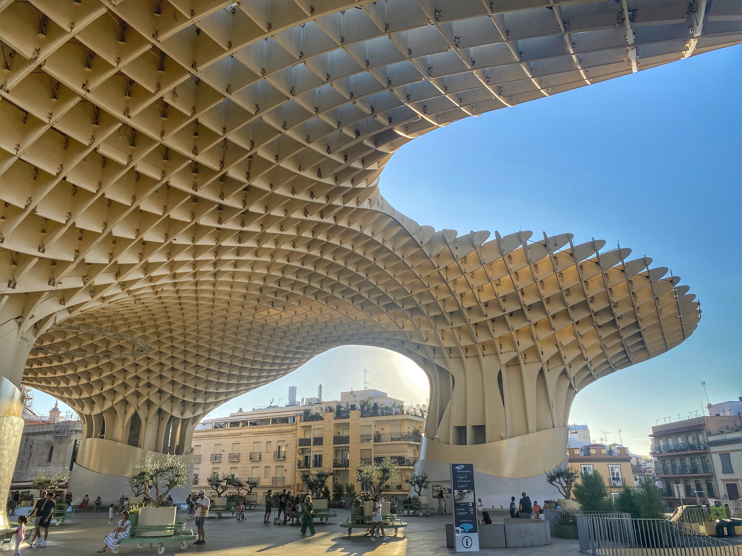 Las Setas de Sevilla FAQ: Seville’s Wooden Wonderland