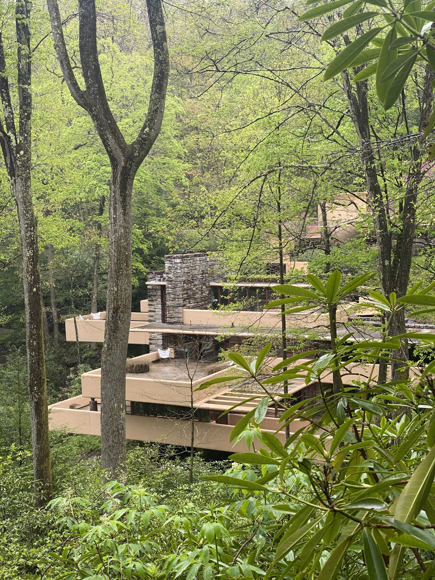 Falling for Frank Lloyd Wright’s Fallingwater