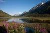 Alaska’s Natural Wonders: An Adventurous Traveler’s Guide to the Last ...