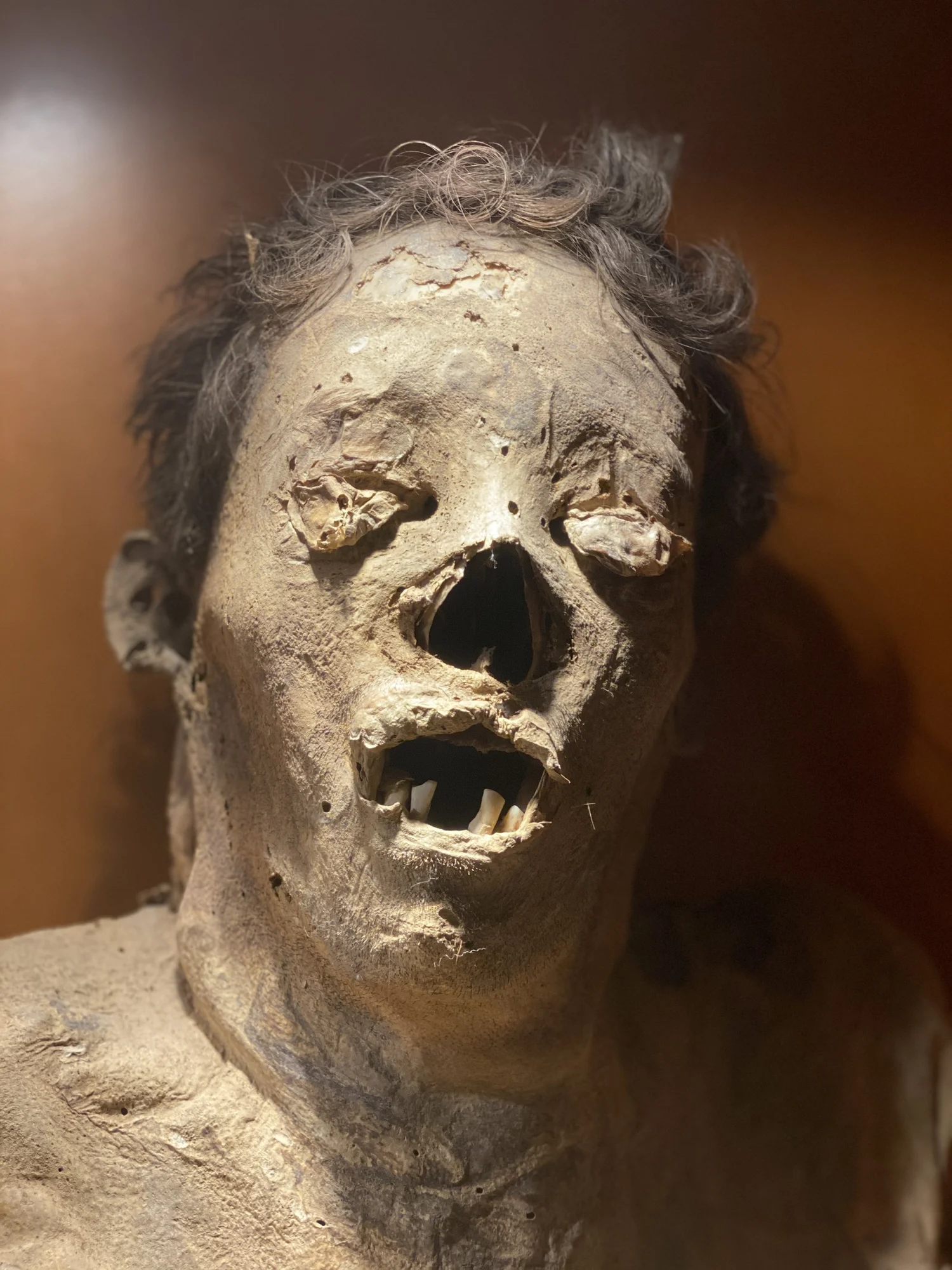 The Haunting and Horrific Mummy Museum of Guanajuato