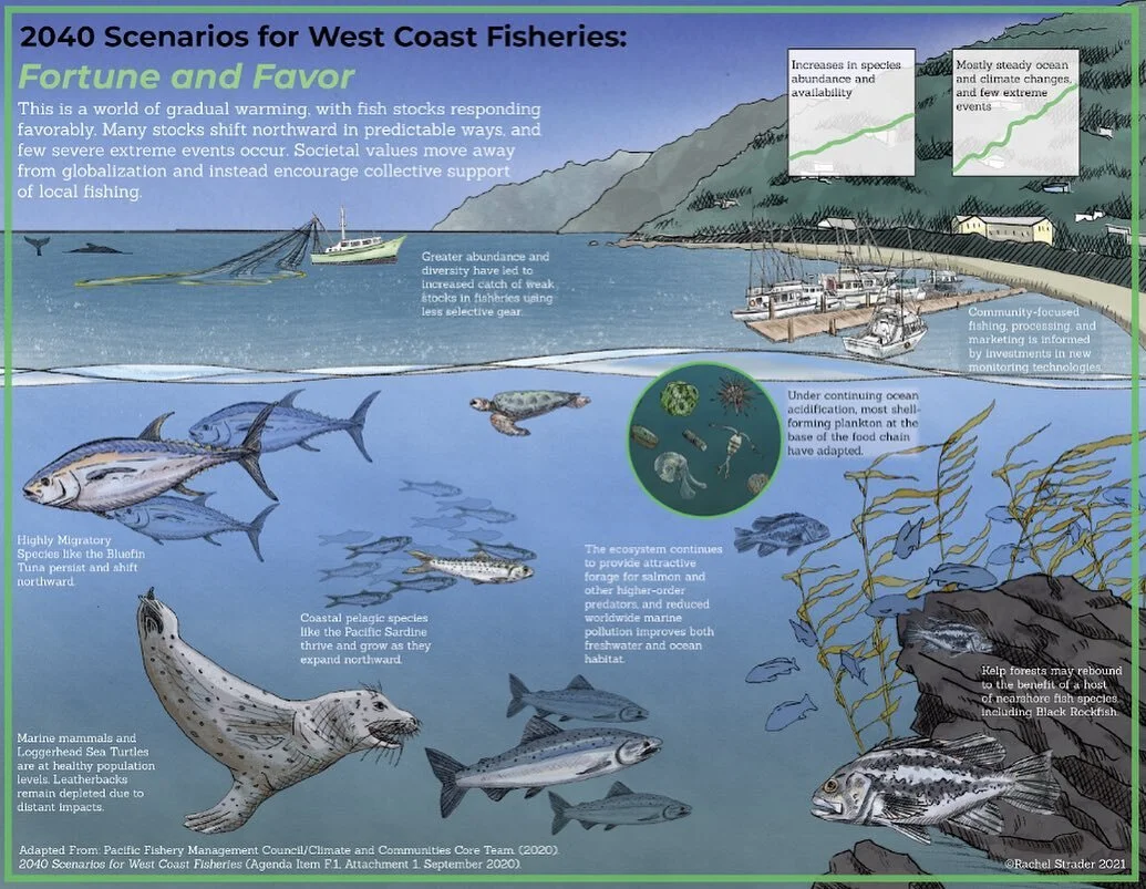 Marine West Coast Animals