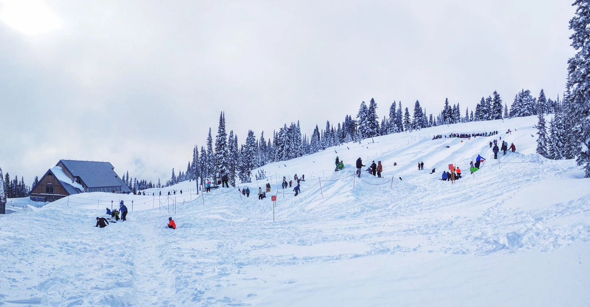 Snowshoeing in Paradise — Pacific North Wanderers