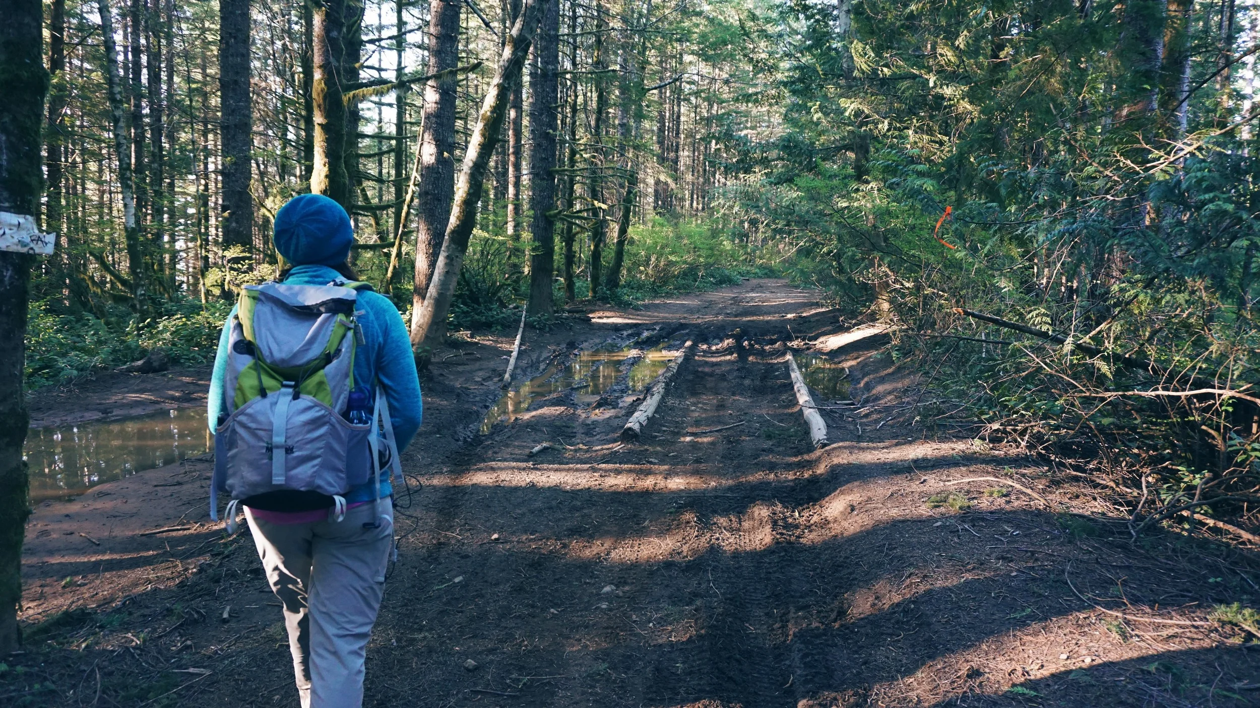 Hiking Rock Candy Mountain — Pacific North Wanderers