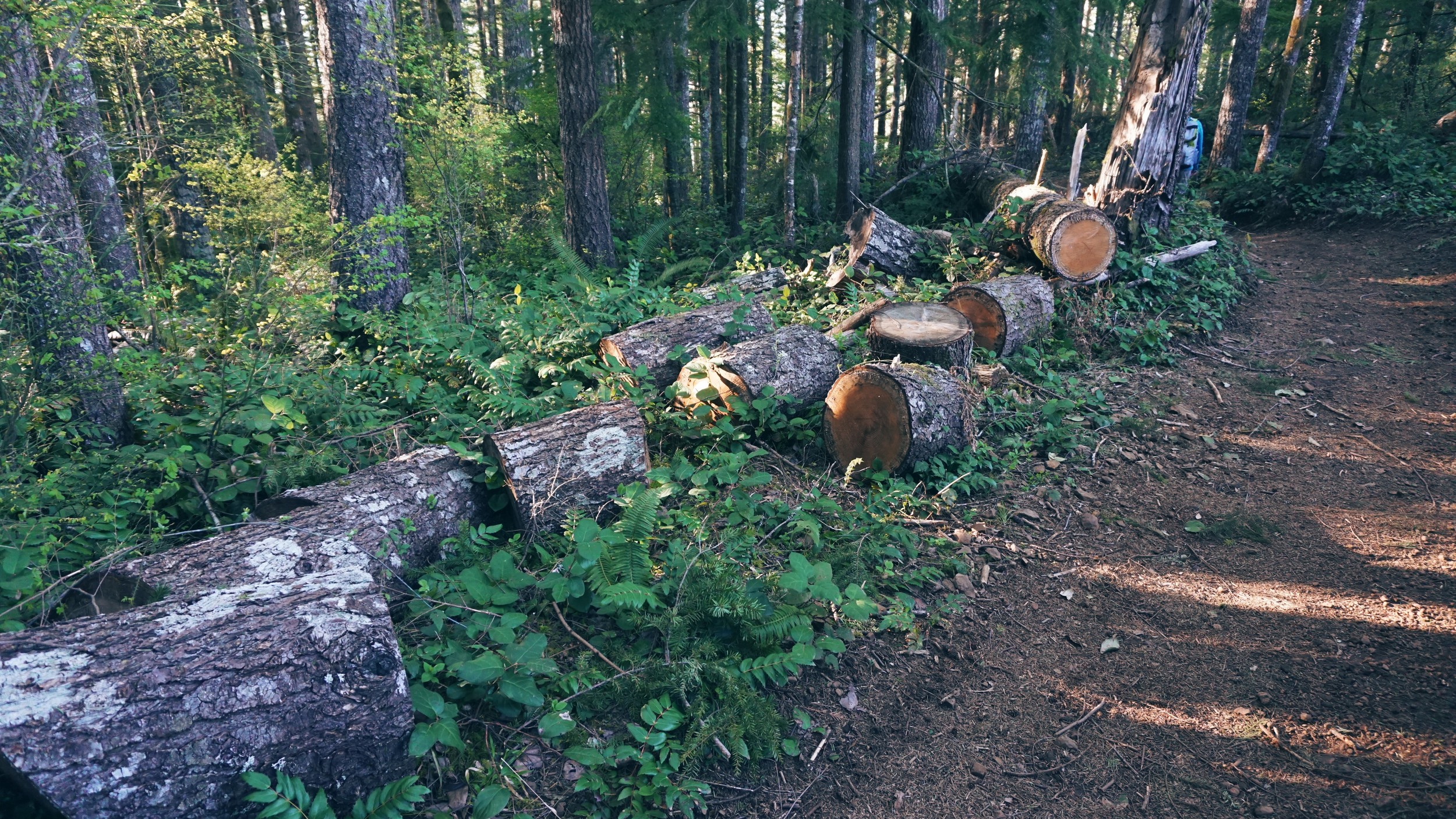 Hiking Rock Candy Mountain — Pacific North Wanderers