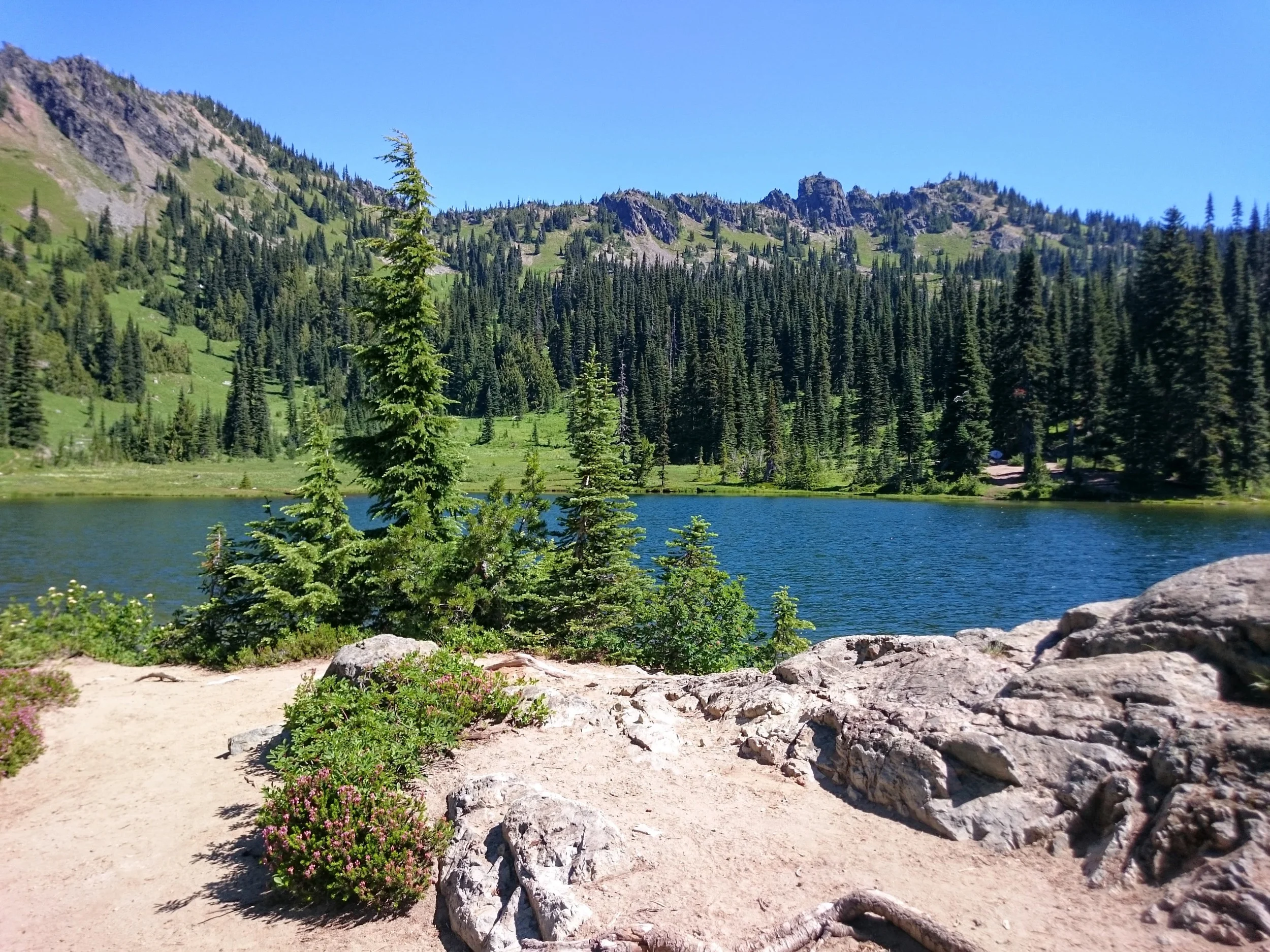 Hiking the Pacific Crest Trail to Sheep Lake — Pacific North Wanderers