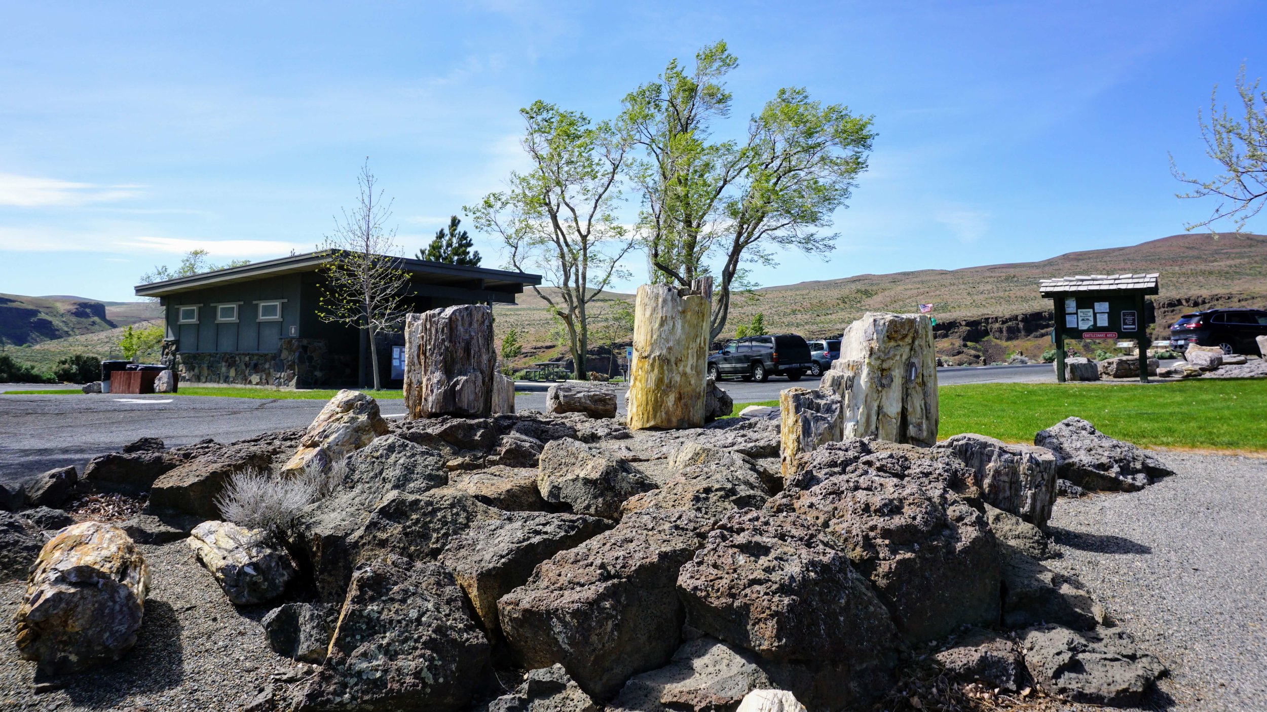 A Trip Through History At Ginkgo Petrified Forest State Park — Pacific ...