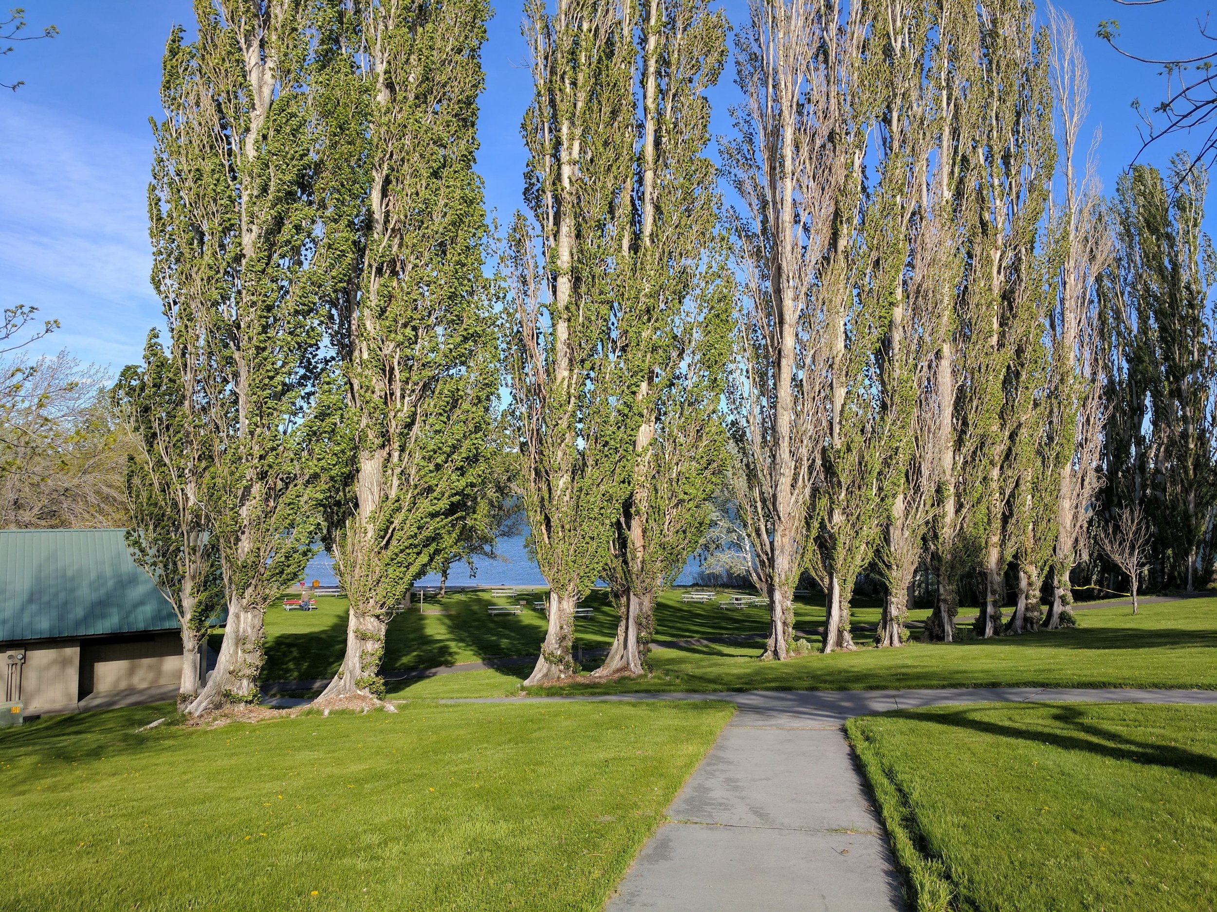 A Trip Through History At Ginkgo Petrified Forest State Park — Pacific ...