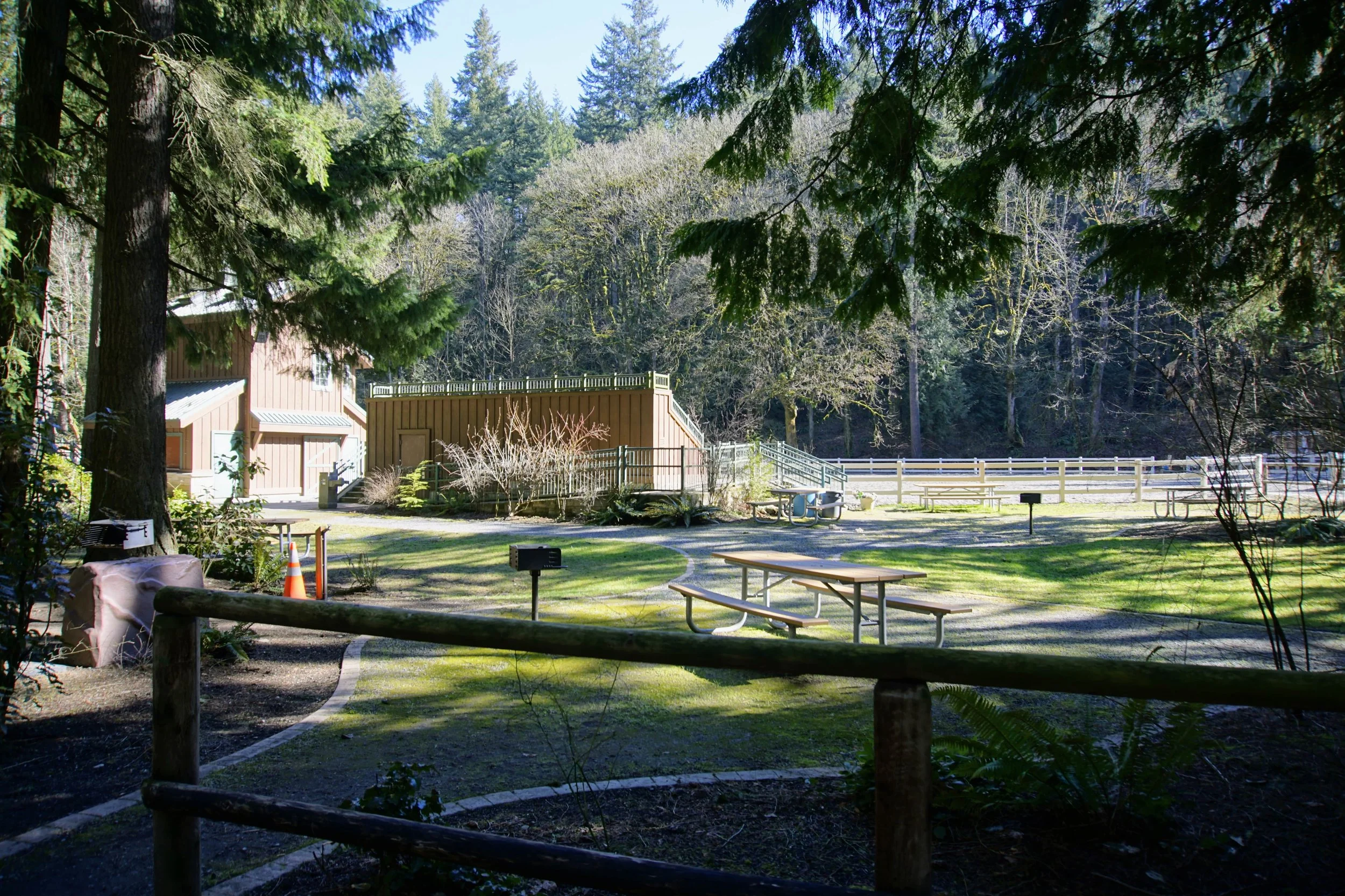 An Afternoon Hike In Bridle Trails State Park — Pacific North Wanderers