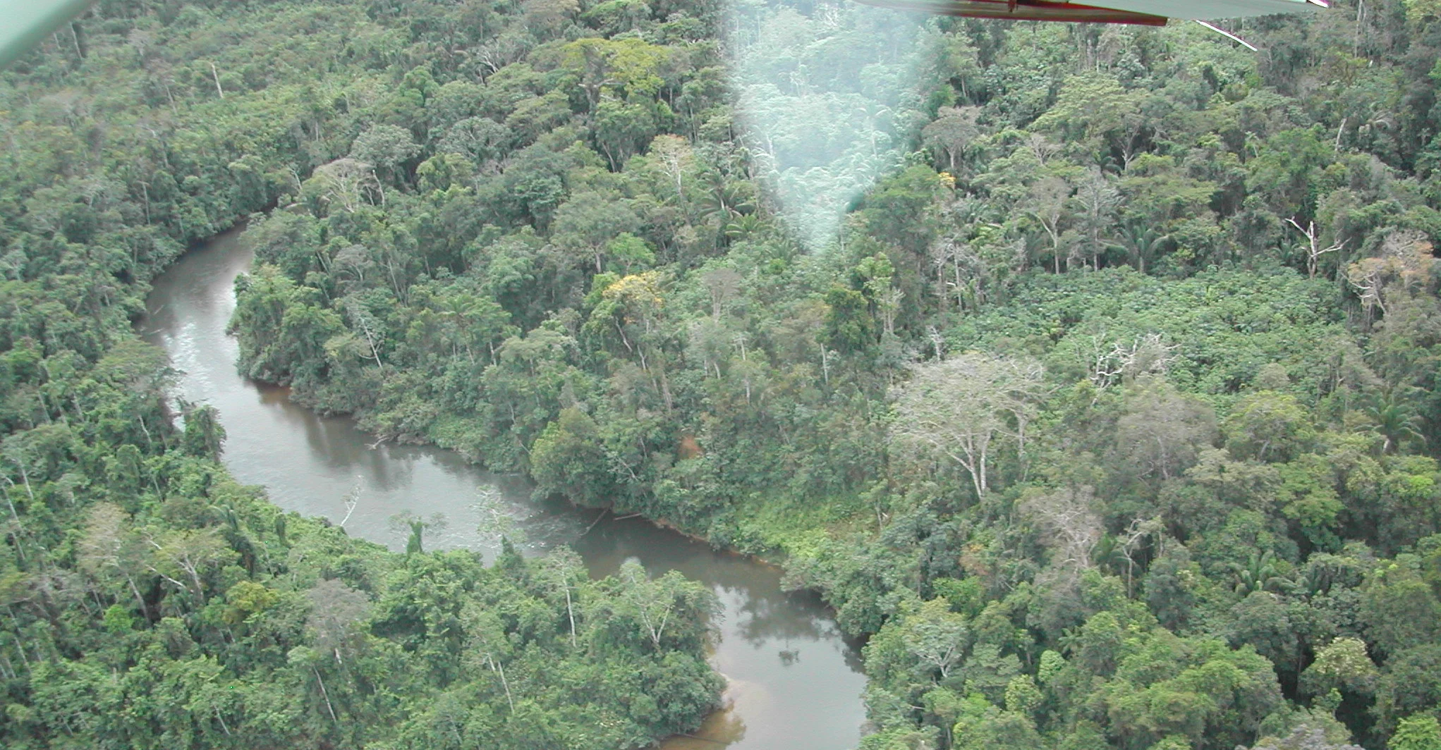 Deep jungles of Venezuela — Tony Templeton
