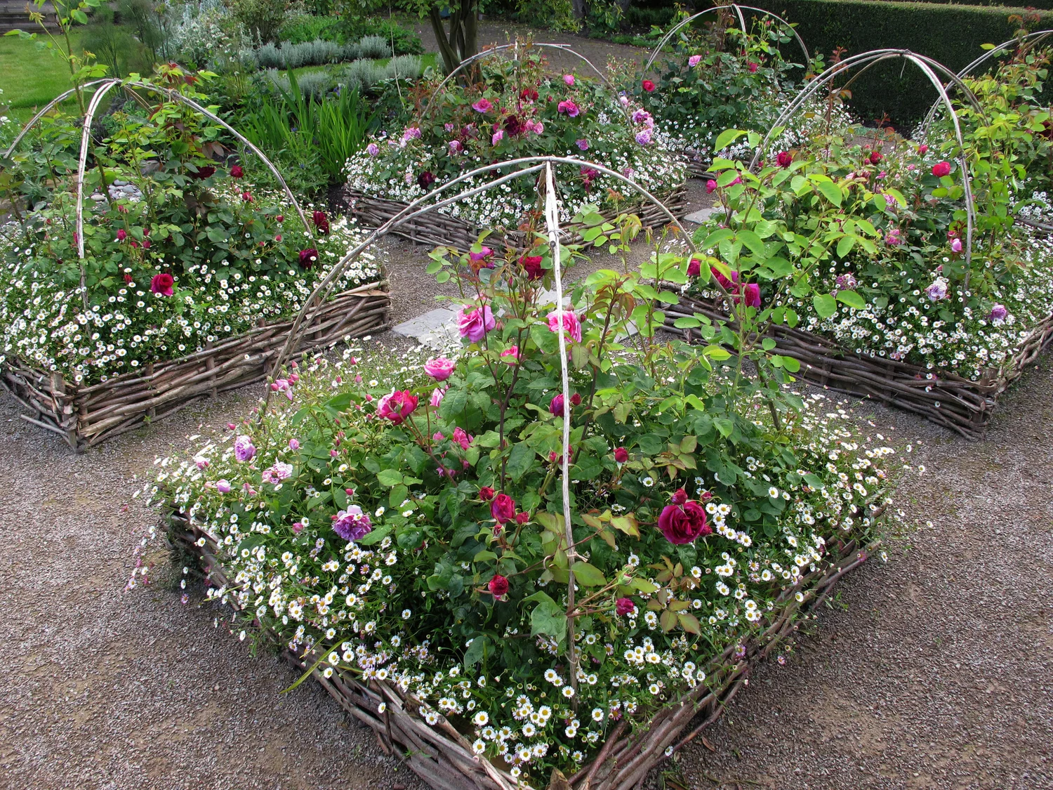 About — Eves & Lewis Landscape Design