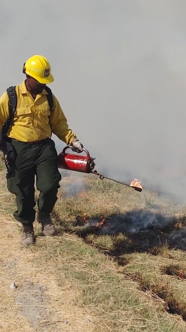 Wildland PPE Maintenance, Storage, and Replacement Standards — CrewBoss ...