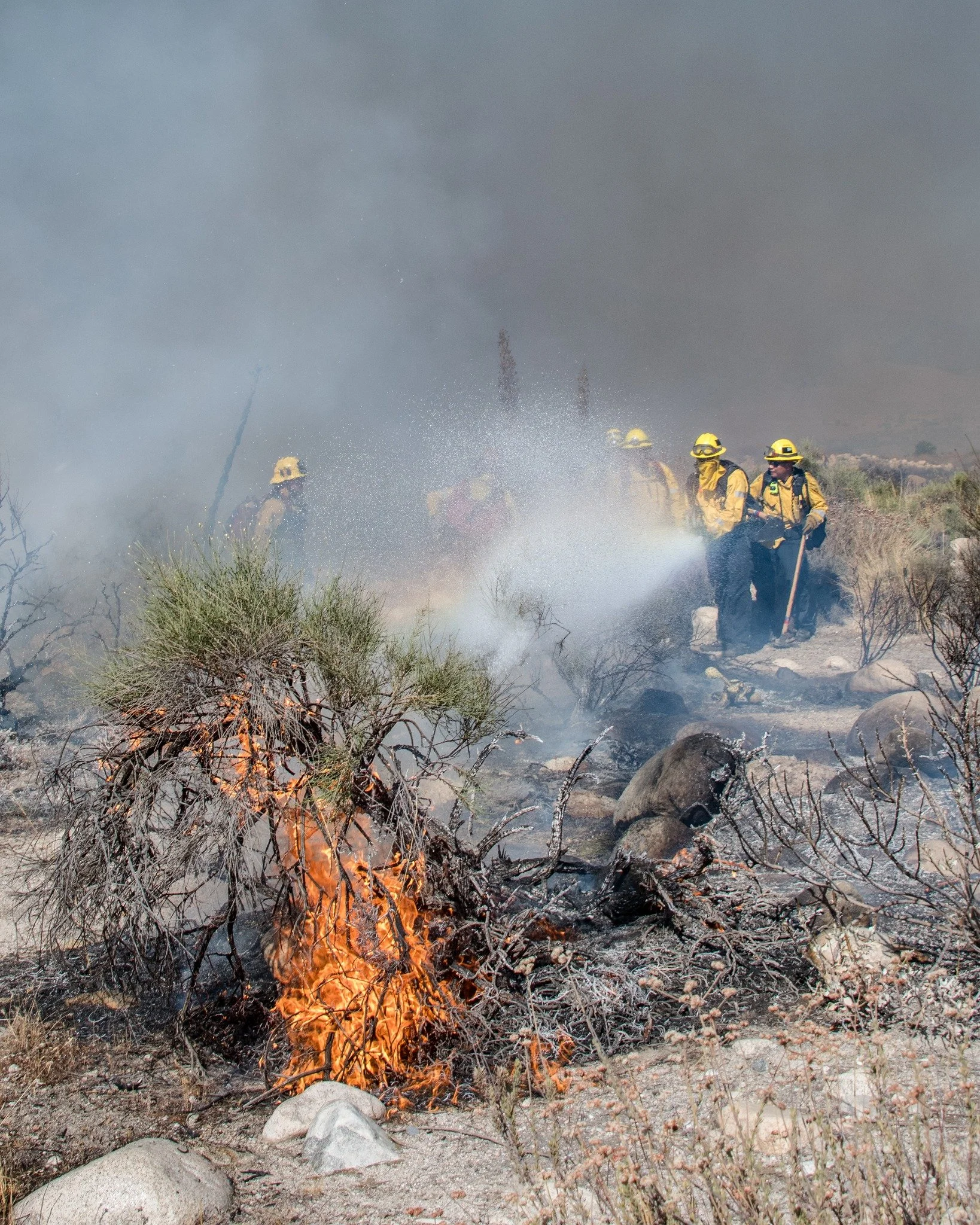 Turnout Safety | CrewBoss P.P.E.