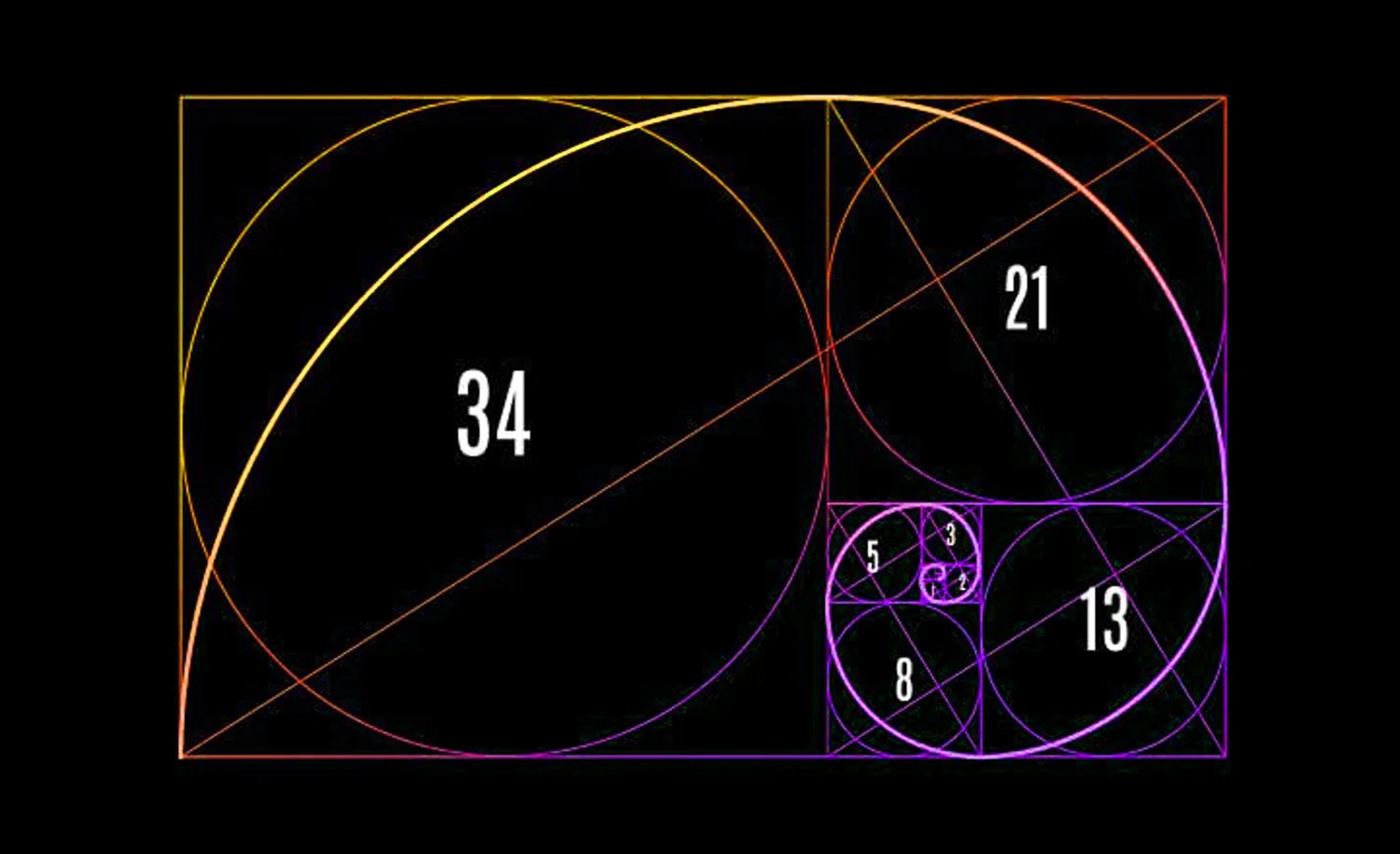 Exploring the Golden Ratio in Art — St. Claire Art