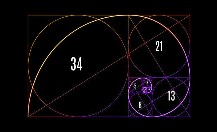 Exploring the Golden Ratio in Art — St. Claire Art