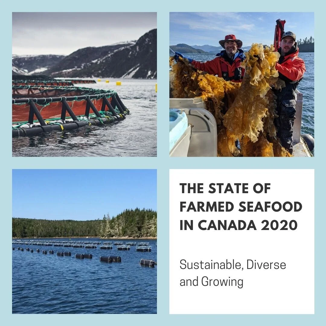 News & Resources — Canadian Aquaculture Industry Alliance