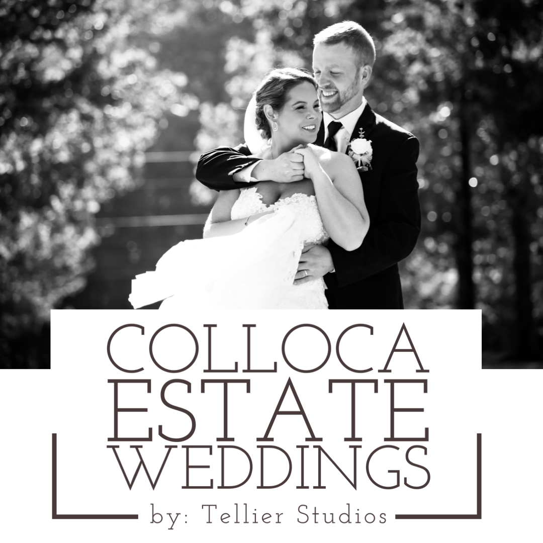 Instagram Venue Spotlights — Tellier Studios