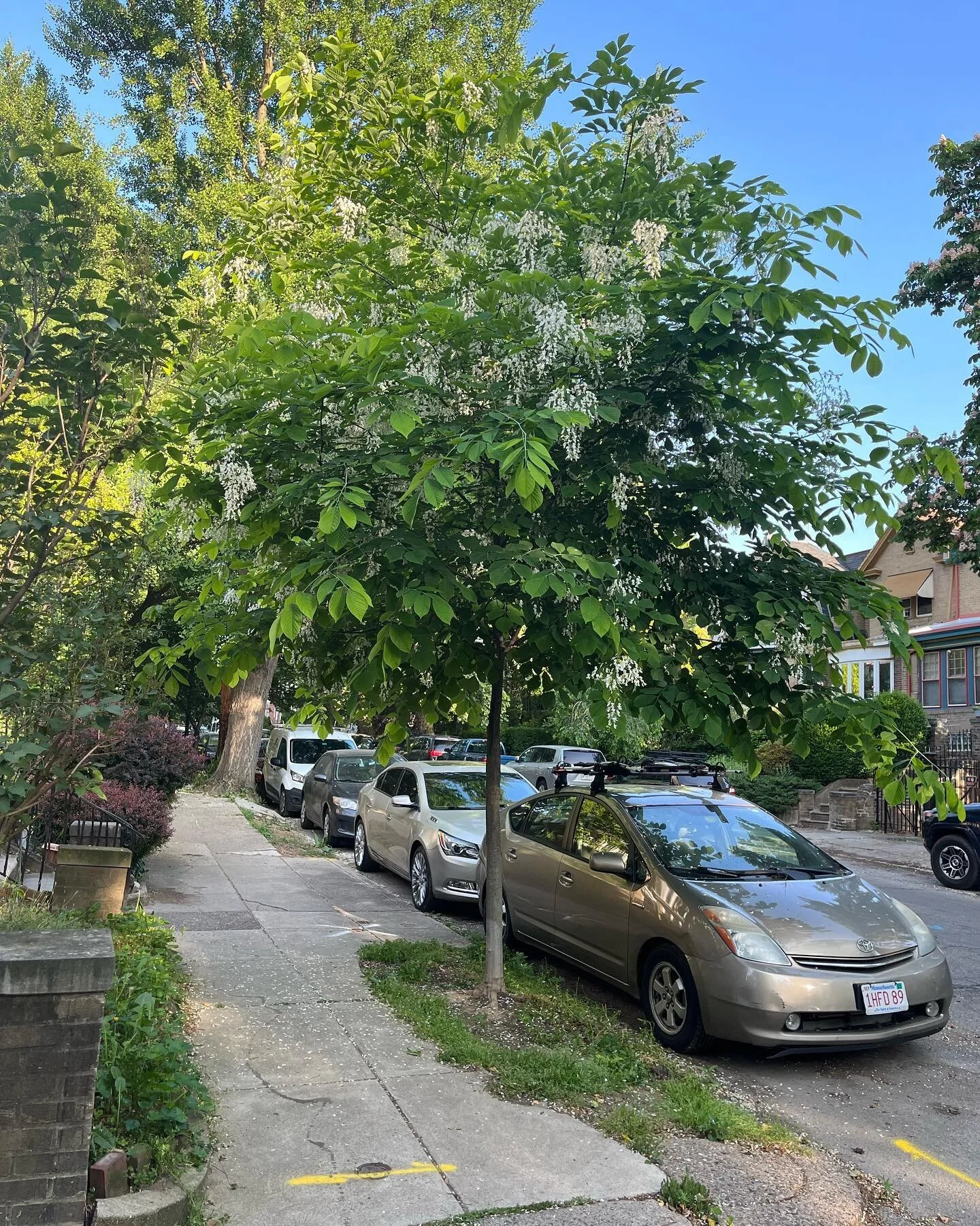 Areas of Practice — Poiesis