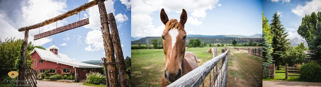 Outdoor Summer Wedding at Flying Dog Ranch, Carbondale Colorado ...