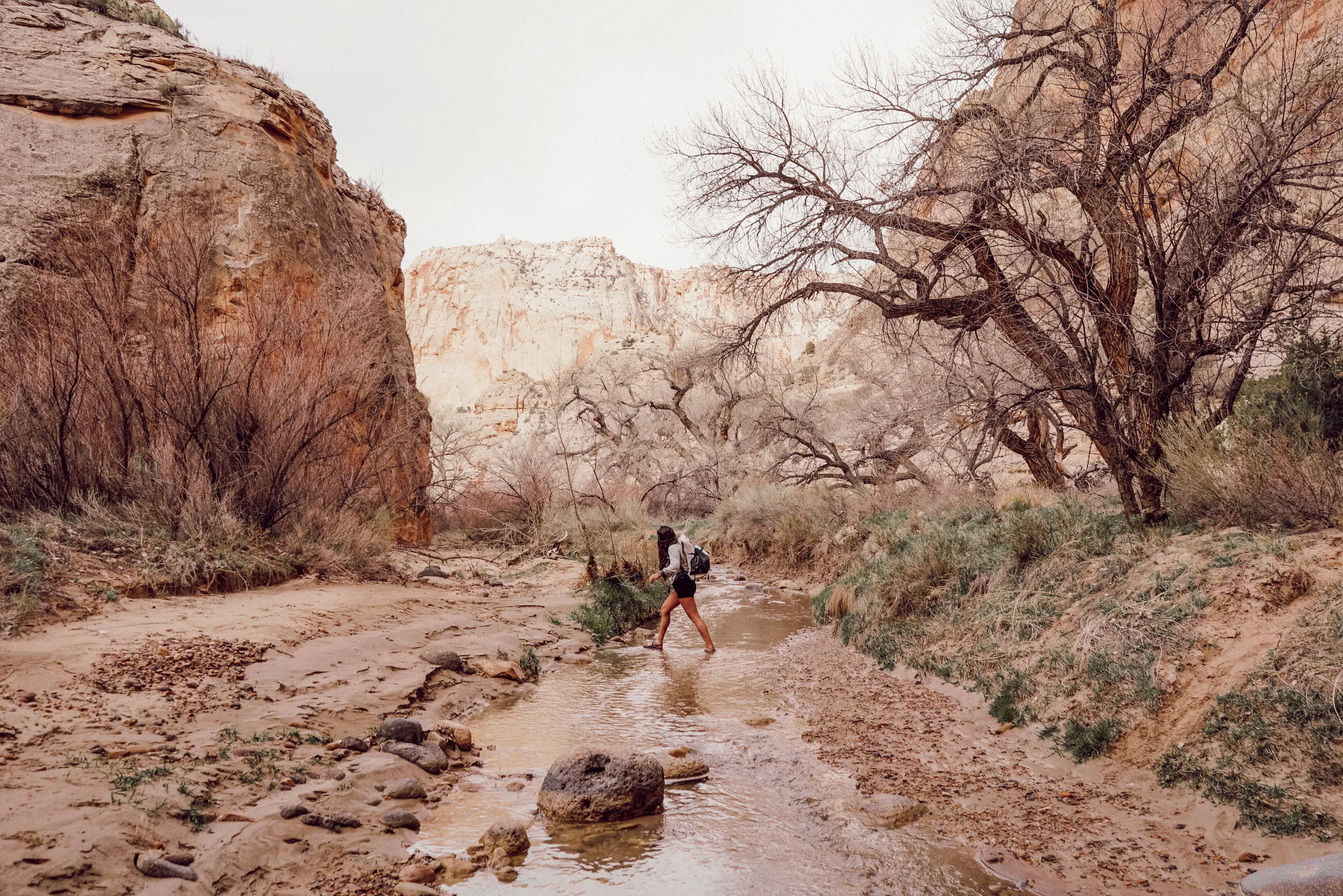 Backpacking In Southern Utah — cassouki