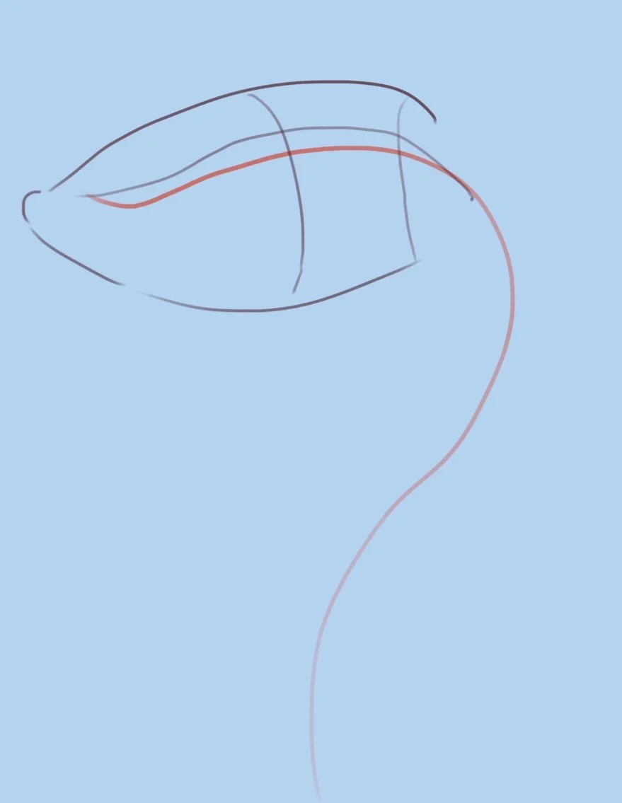 How to Draw Fish: A Step-By-Step Guide — The Beginner Drawing Course