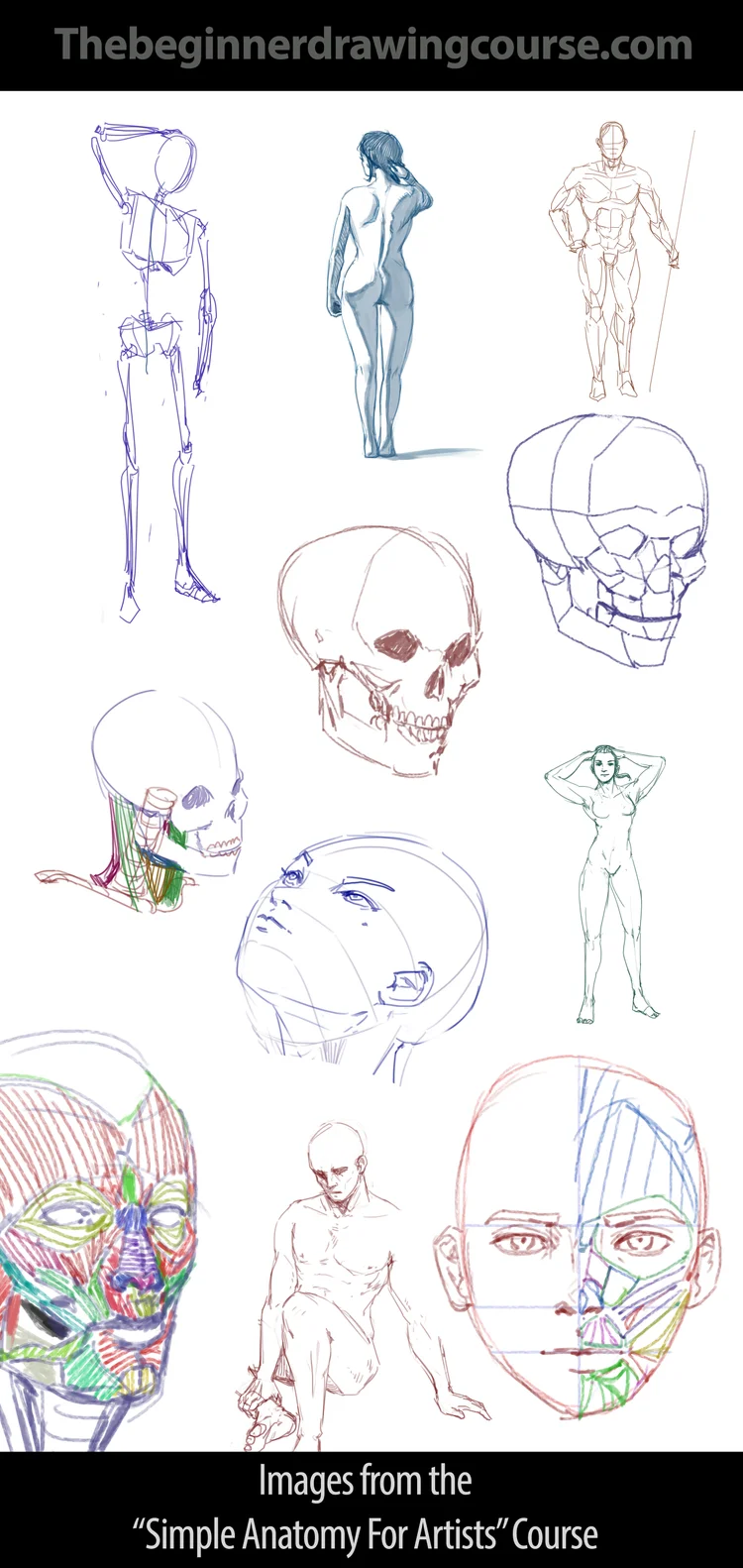 Mastering the art of drawing: A Beginner’s Guide — The Beginner Drawing ...