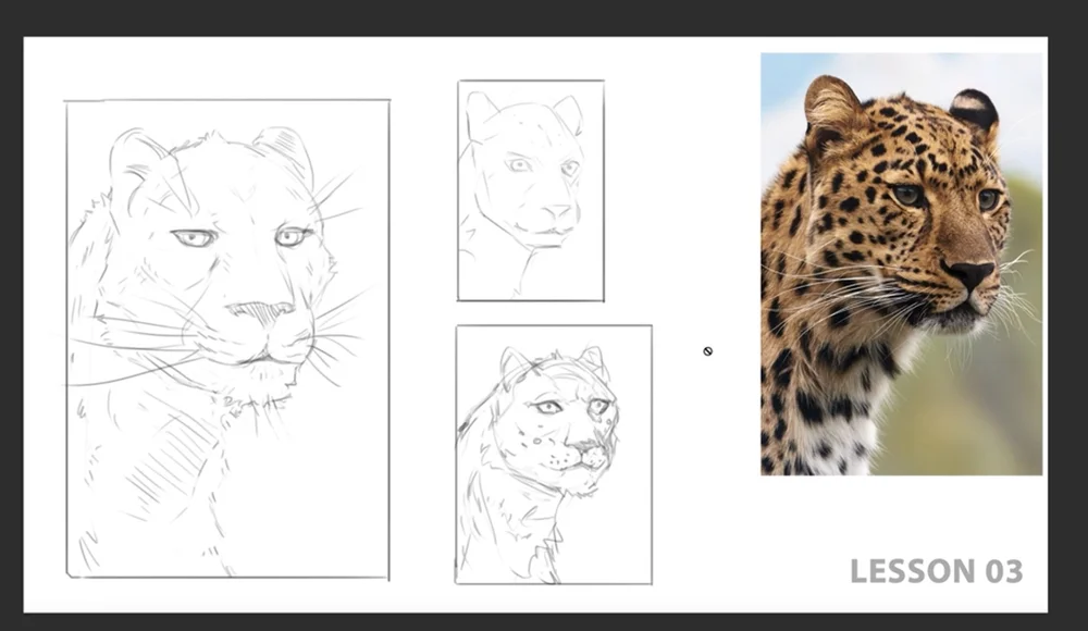 The Beginner Drawing Course