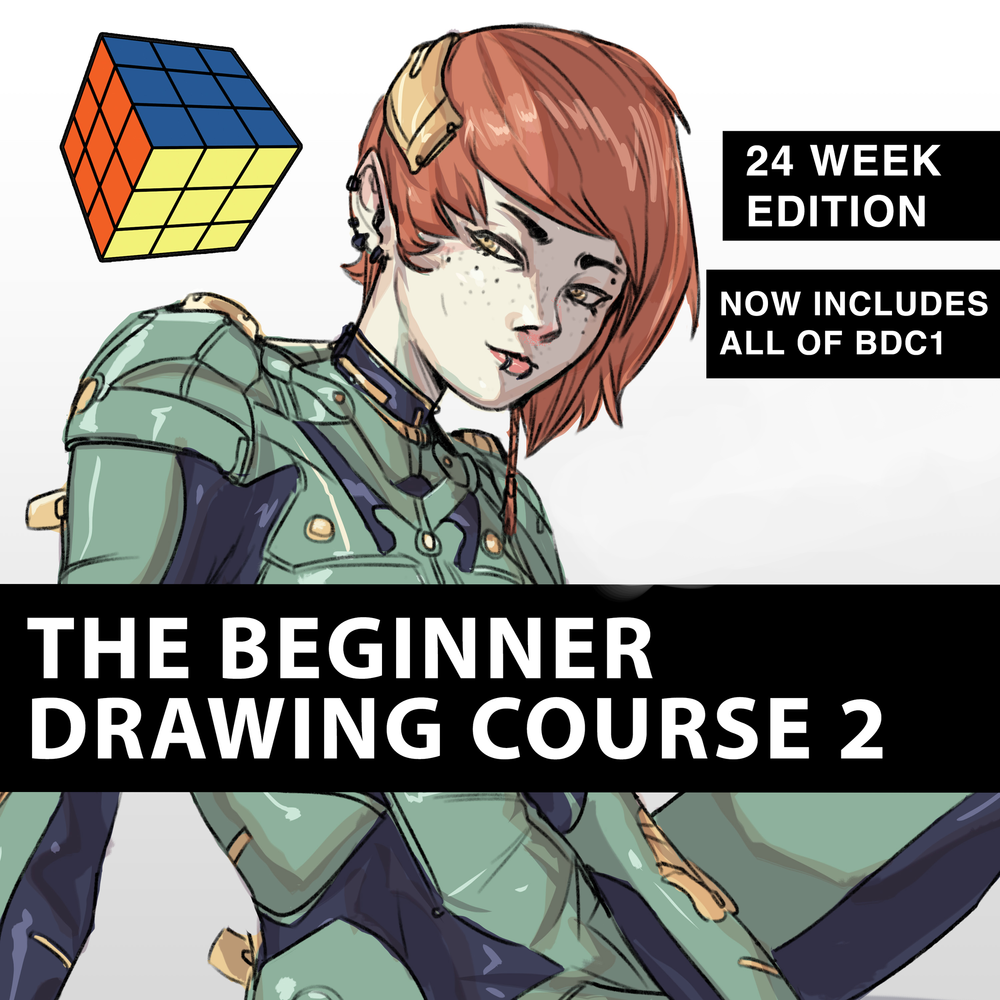 THE BEGINNER DRAWING COURSE