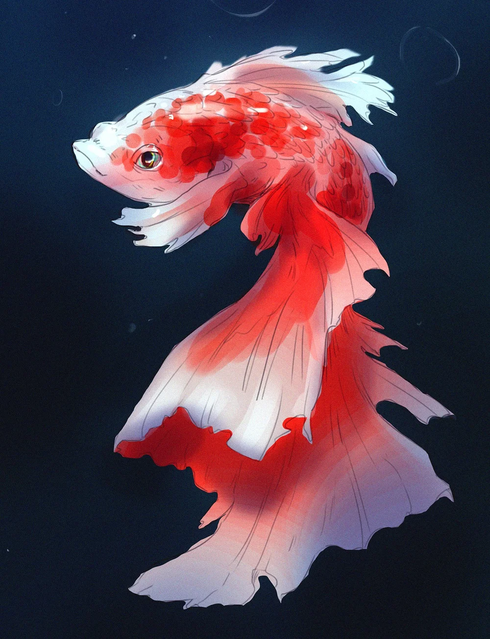 How to Draw Fish: A Step-By-Step Guide — The Beginner Drawing Course