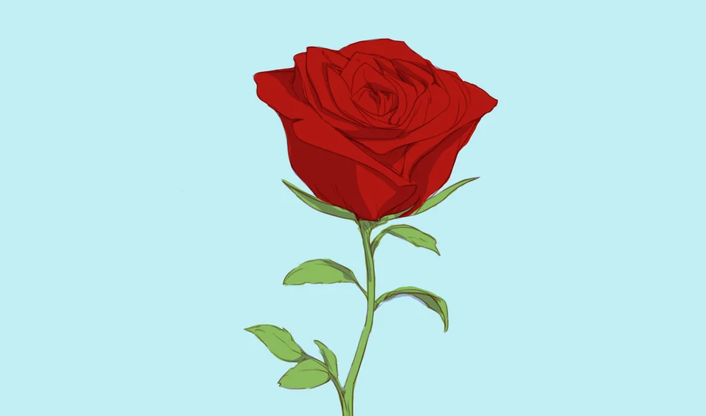 How to Draw a Rose: A Step-by-Step Tutorial for Beginners (Traditional ...