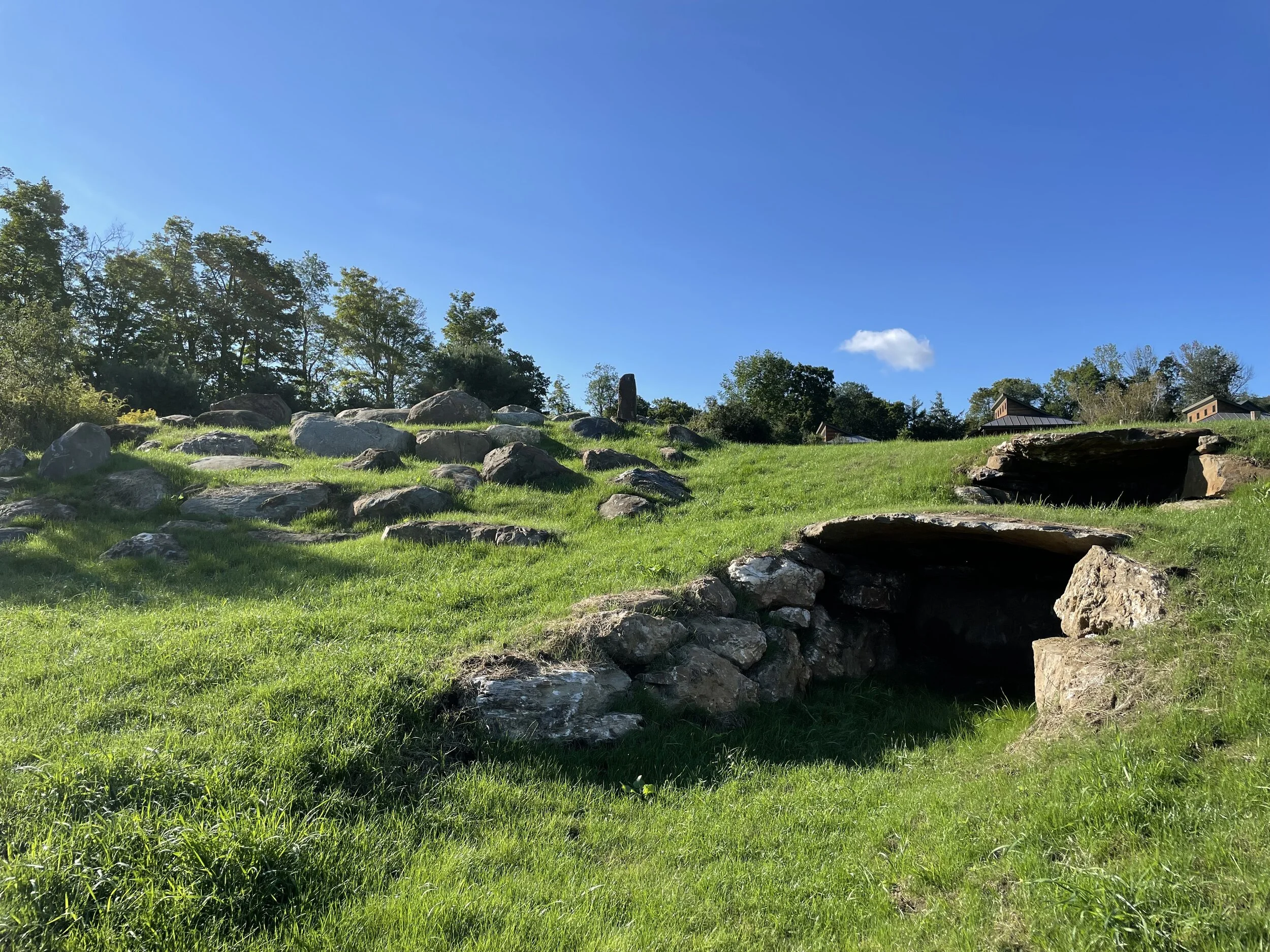 On The Farm — Vermont Vacation Cabins | Fat Sheep Farm & Cabins