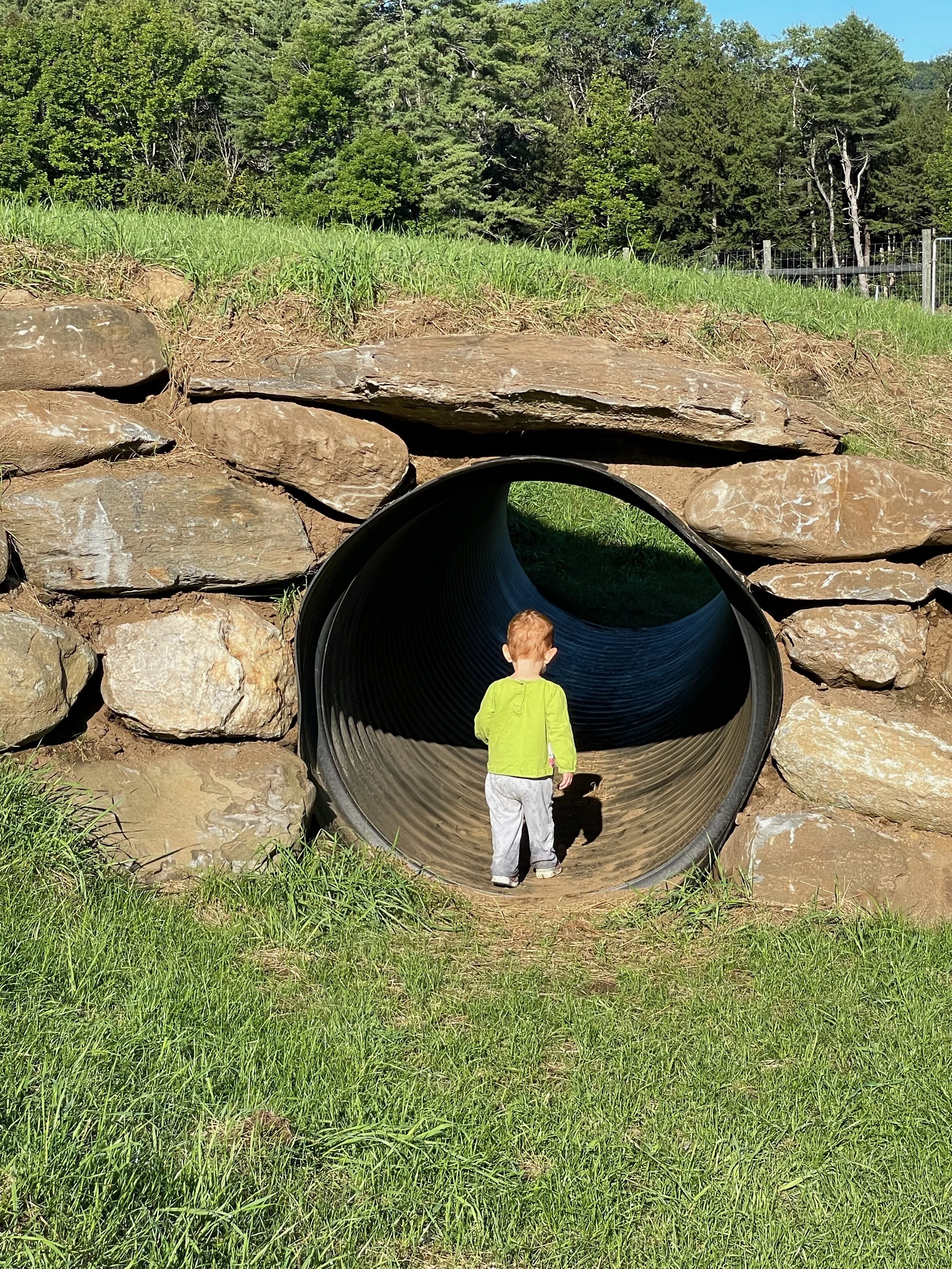 On The Farm — Vermont Vacation Cabins | Fat Sheep Farm & Cabins