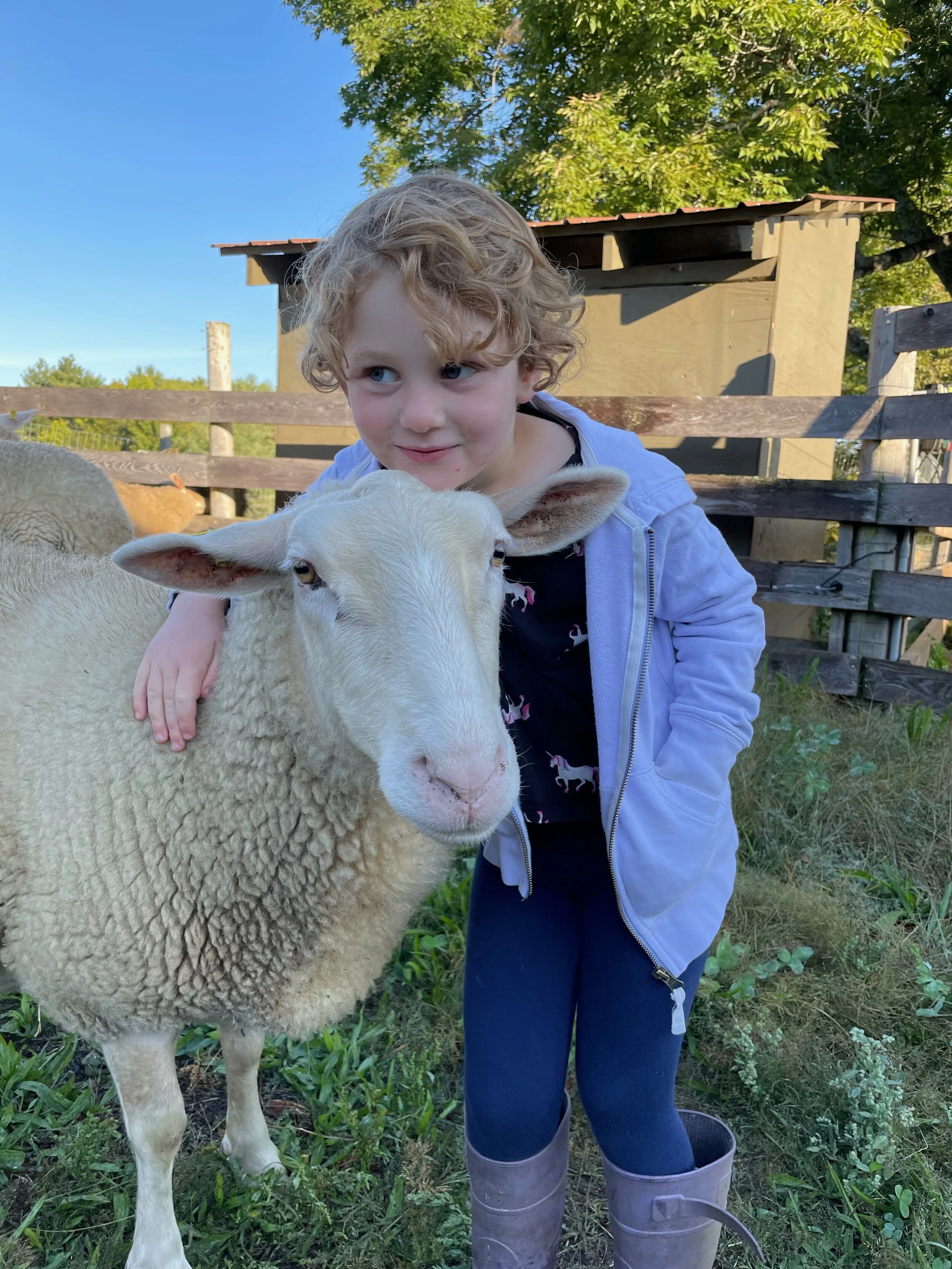 On The Farm — Vermont Vacation Cabins | Fat Sheep Farm & Cabins