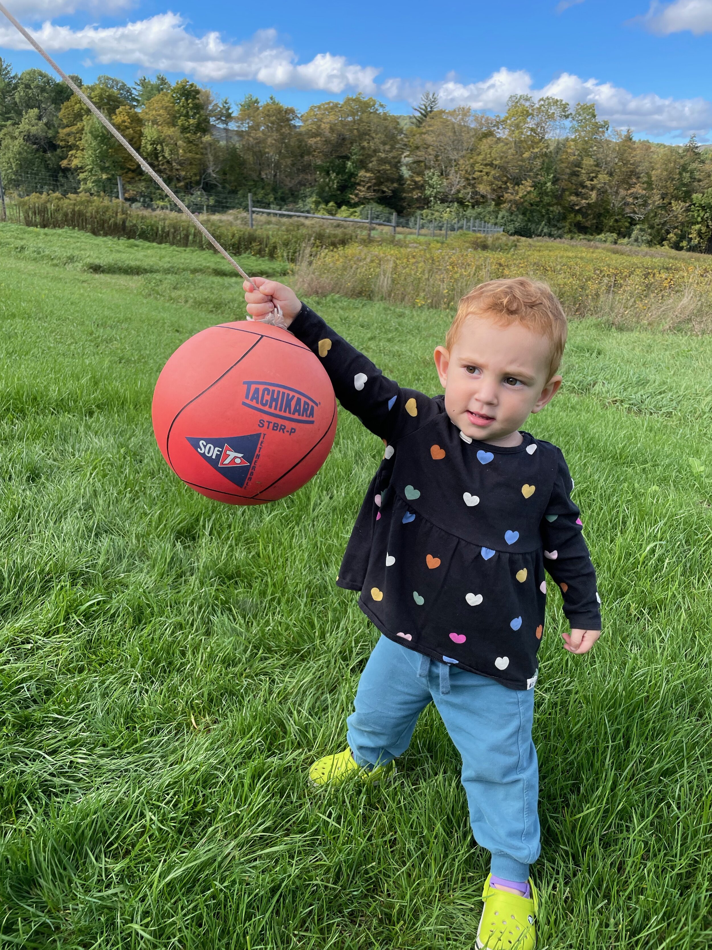 On The Farm — Vermont Vacation Cabins | Fat Sheep Farm & Cabins