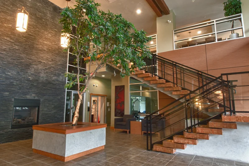 Multi Family Interior Design Firm in Vancouver BC — CALVERT DESIGN STUDIO