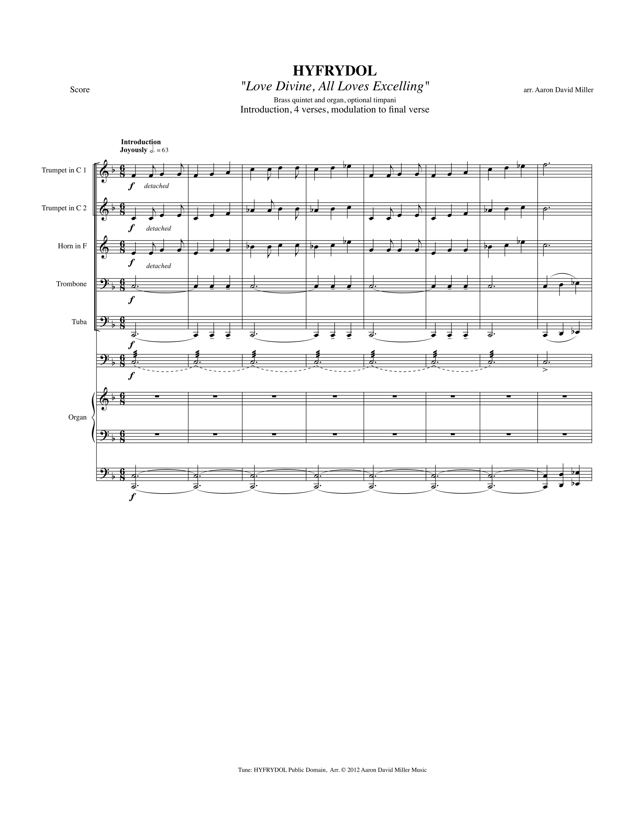 HYFRYDOL — Aaron David Miller