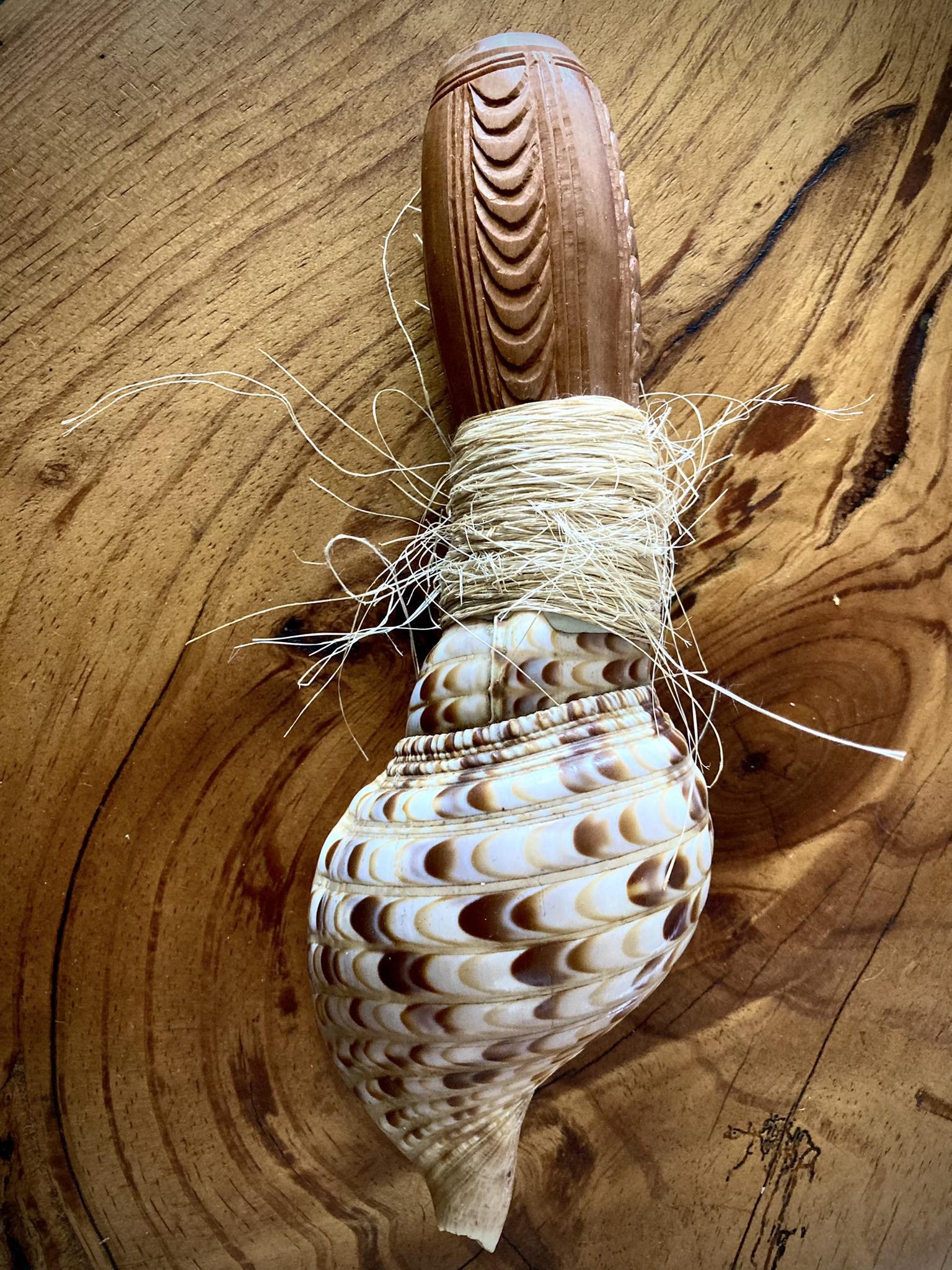 Shop — Paitangi Art & Ink