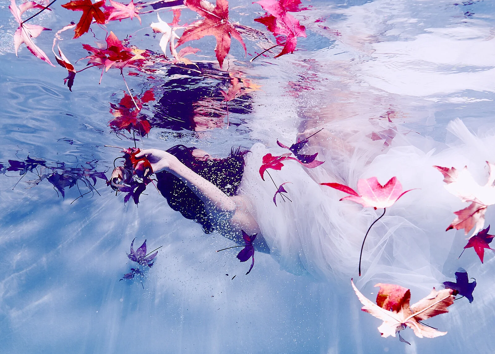 Underwater Photography — JOSE G. CANO