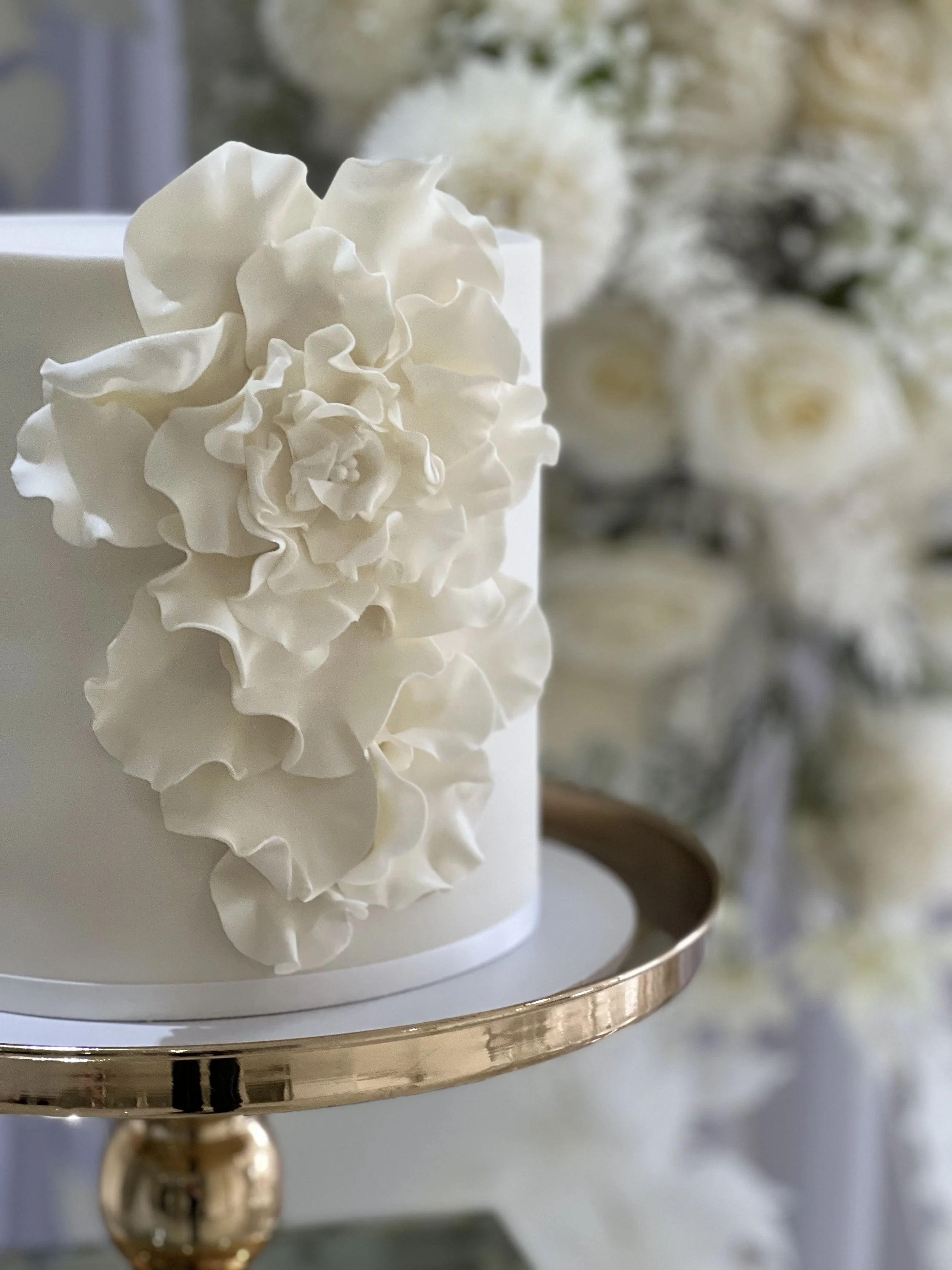 Wedding Photographer - House of Lucie